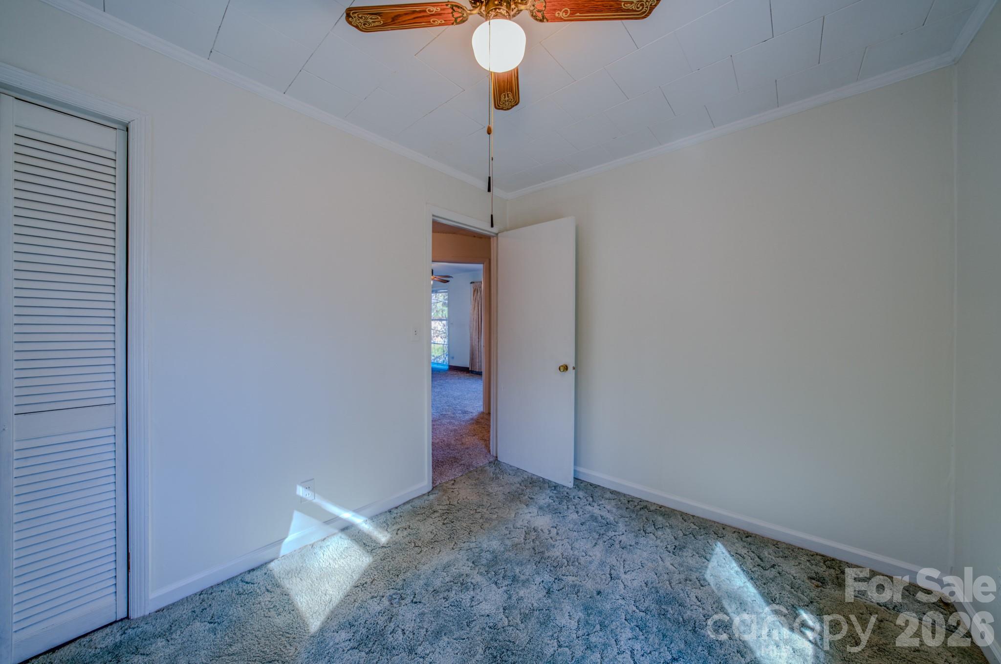 550 Saluda Street, Hendersonville, NC - photo 17 of 30