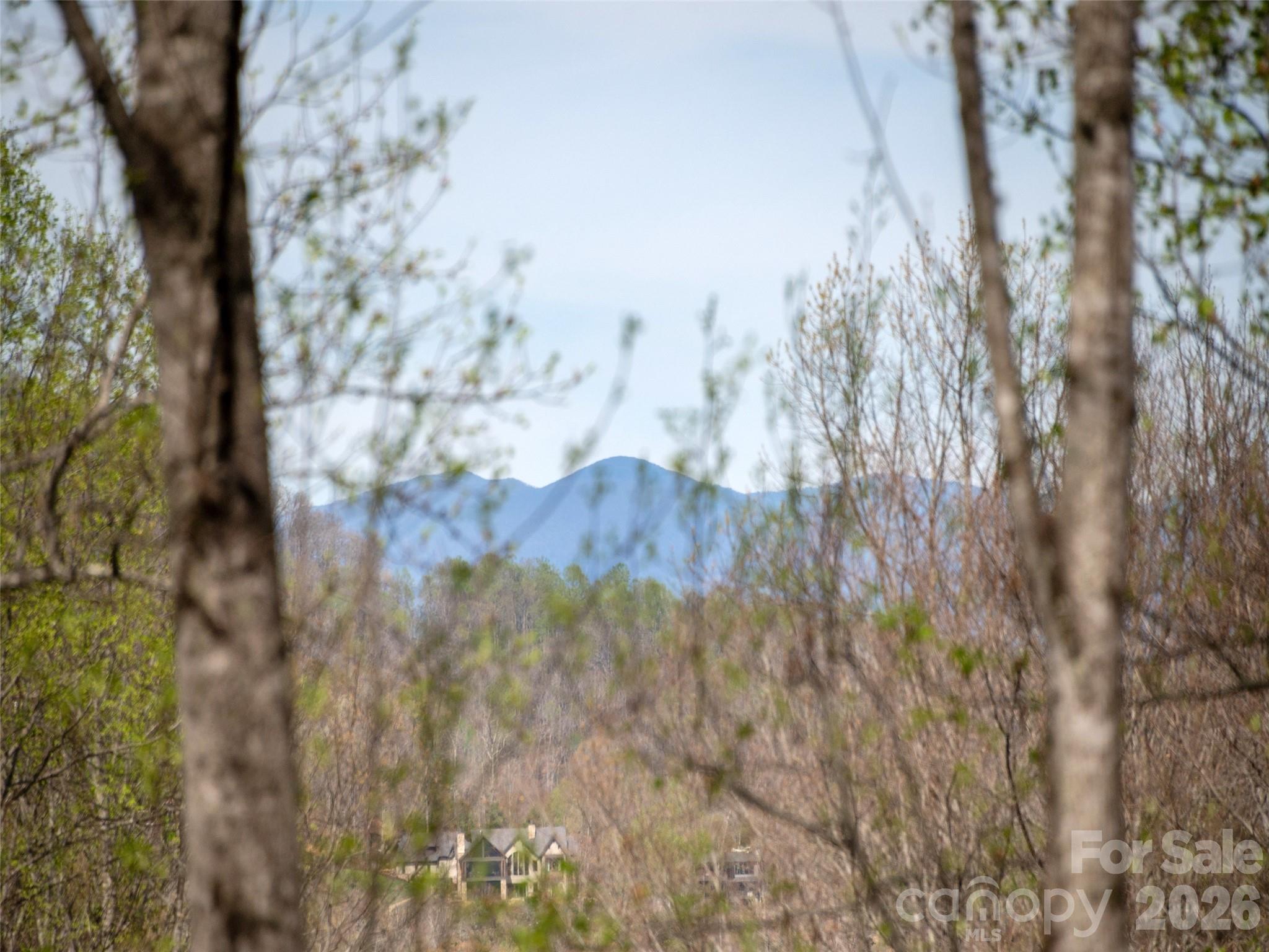 Photo 4 of 417 Blue Mist Way, Arden, NC