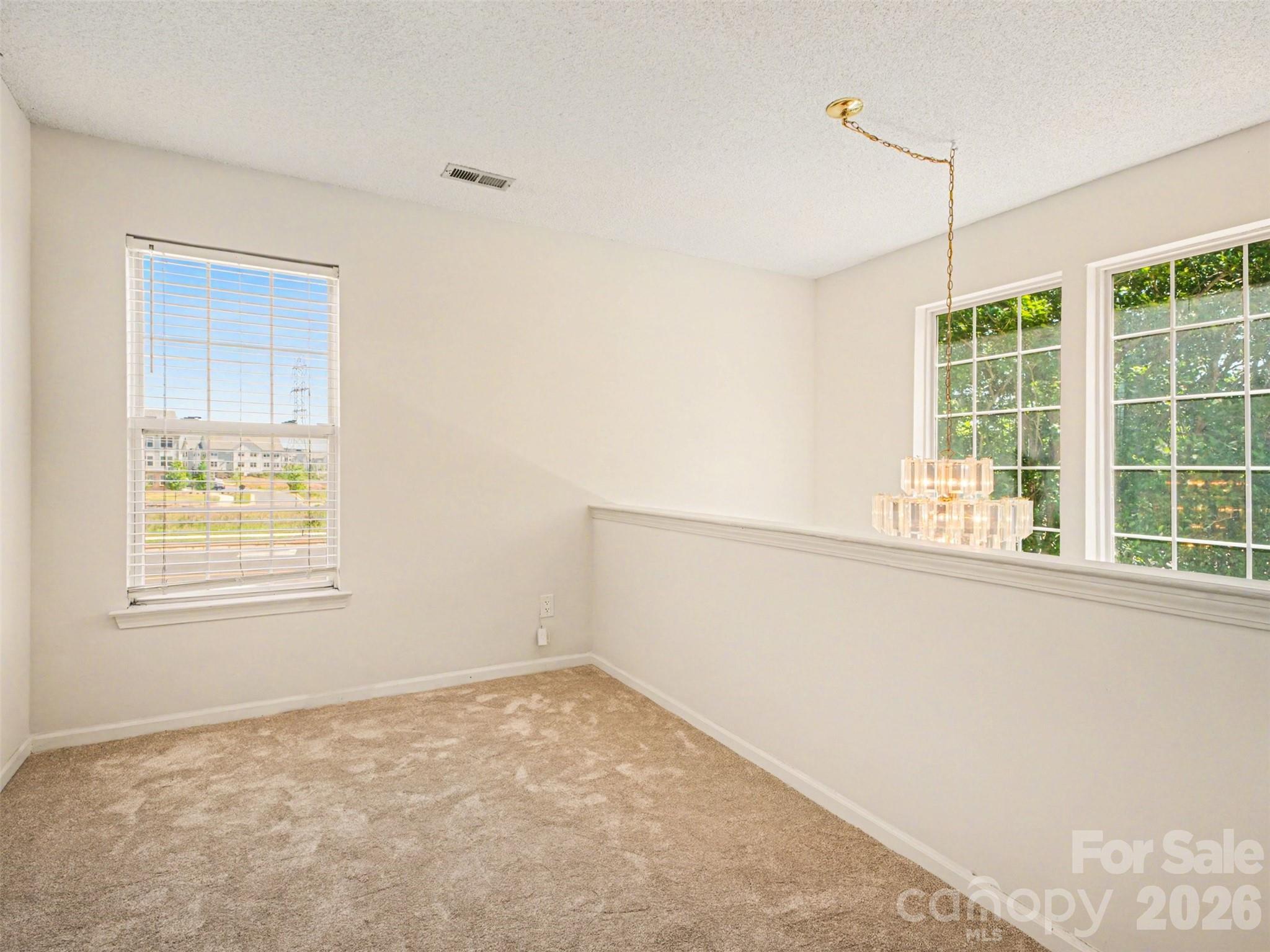 Photo 22 of 12548 Panthersville Drive, Charlotte, NC