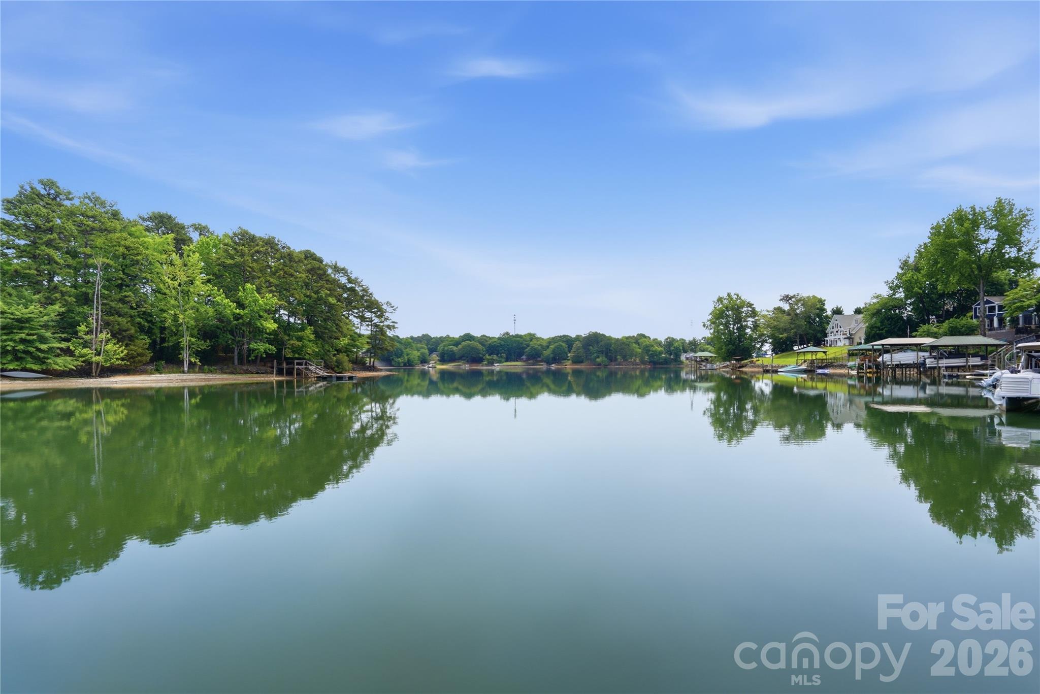 1113 Palmyra Drive, Tega Cay, SC