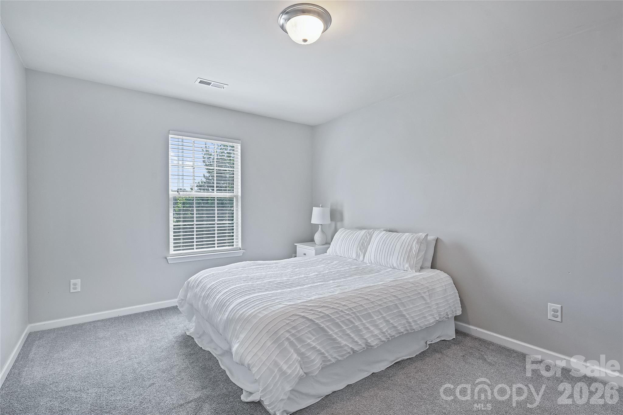 7041 Carnwarth Lane, Fort Mill, SC - photo 18 of 26