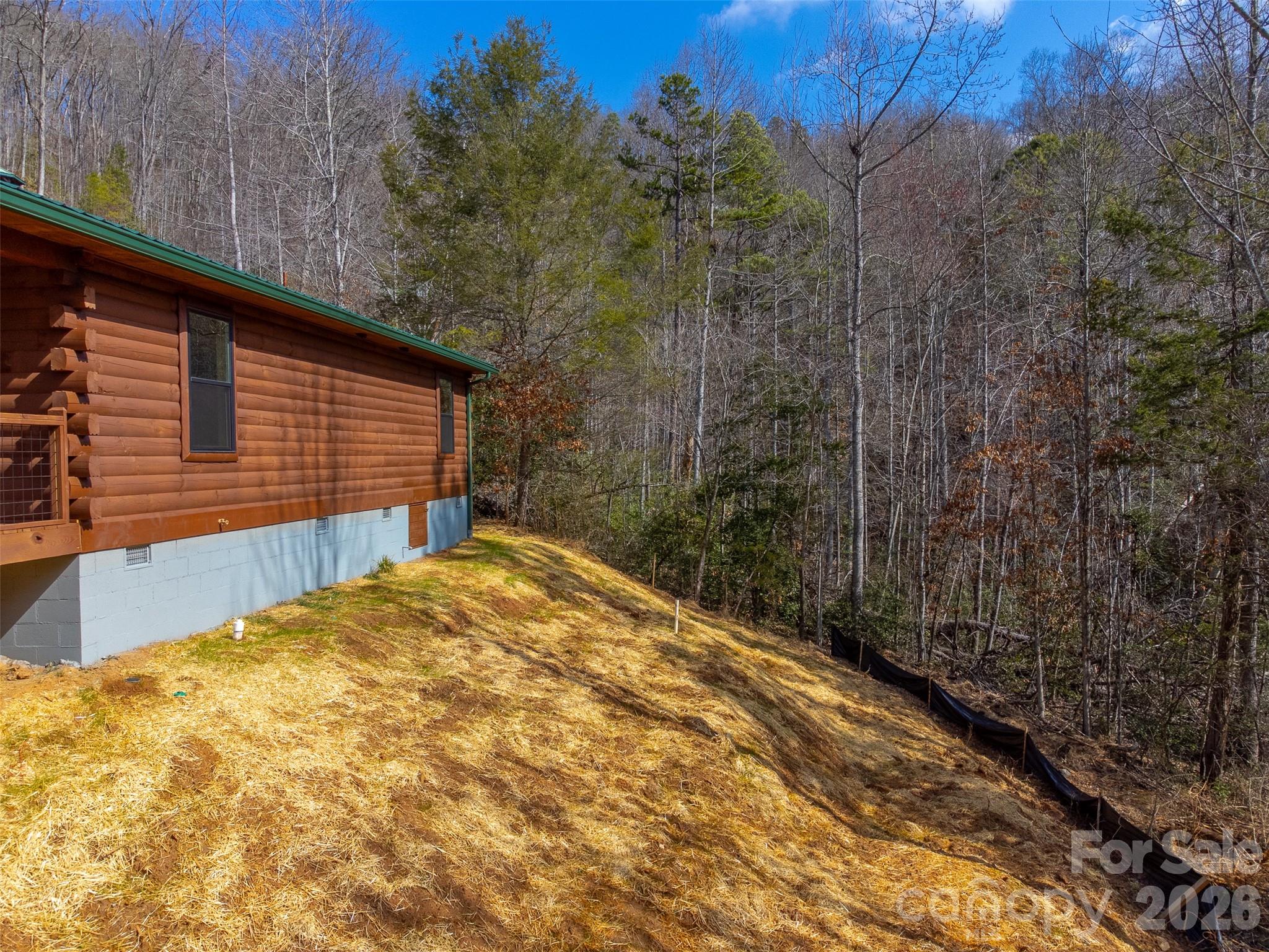 677 Ridgetop Circle, Whittier, NC - photo 39 of 49