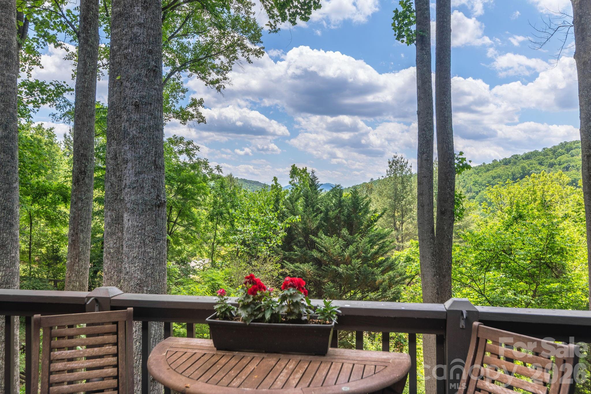 107 Buffalo Trail, Asheville, NC - photo 12 of 49