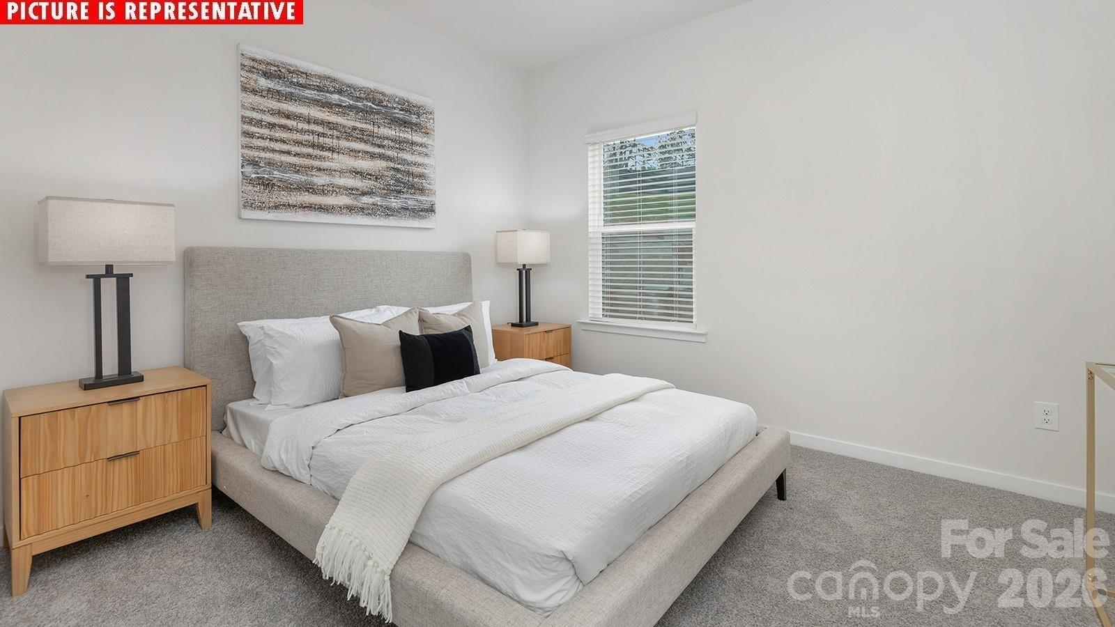 Photo 10 of 15023 Murrelet Way, Charlotte, NC