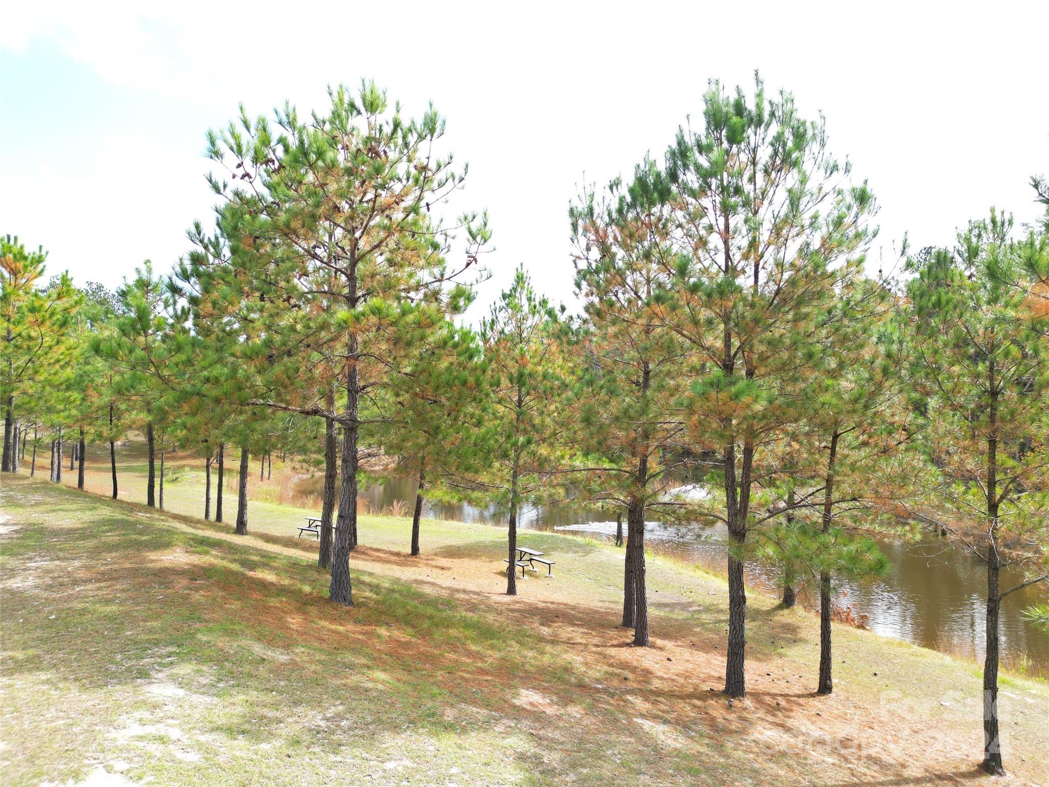 2034 Haileys Ferry Road, Lilesville, NC - photo 20 of 49
