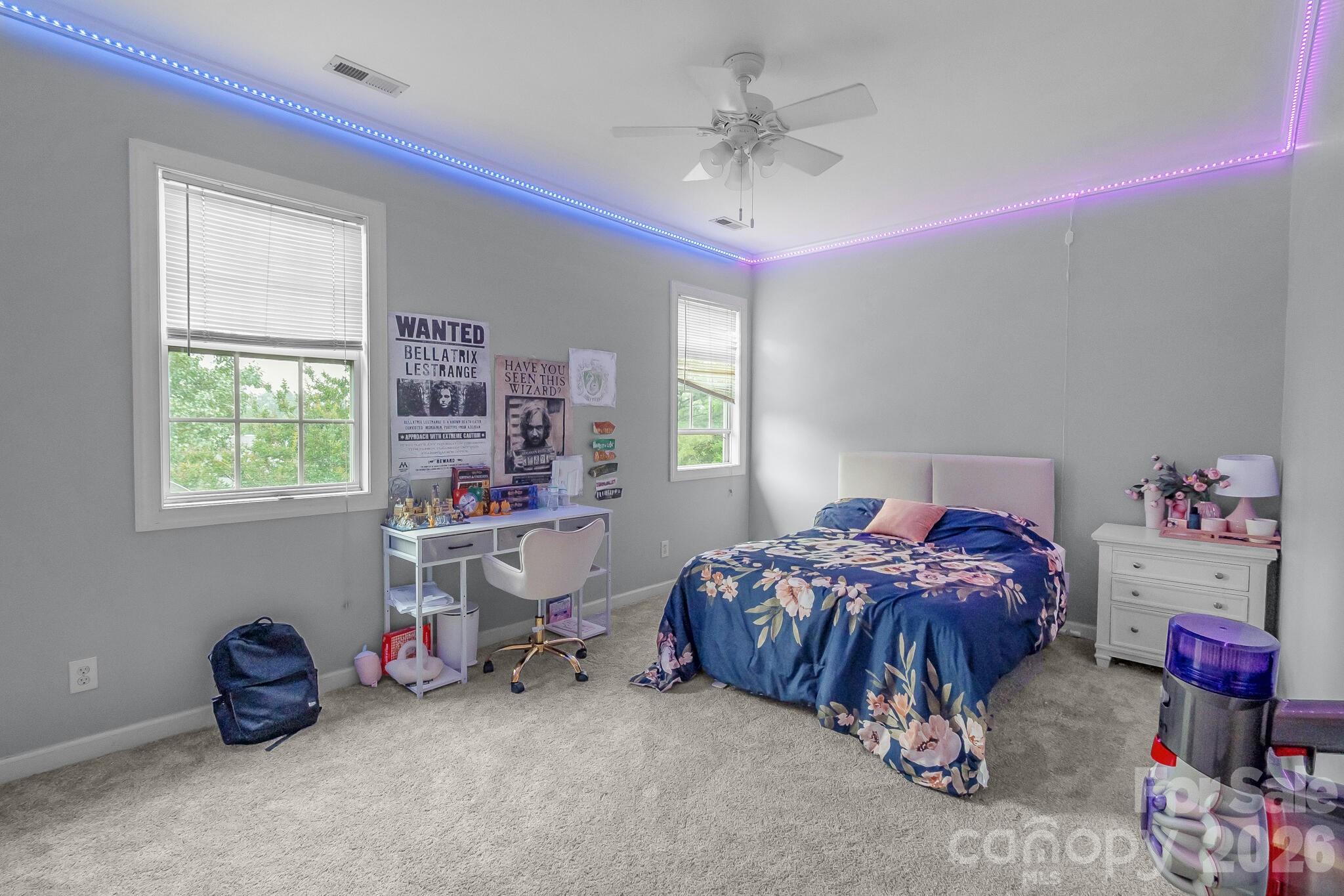 11537 Mcginns Trace Court, Charlotte, NC - photo 23 of 35