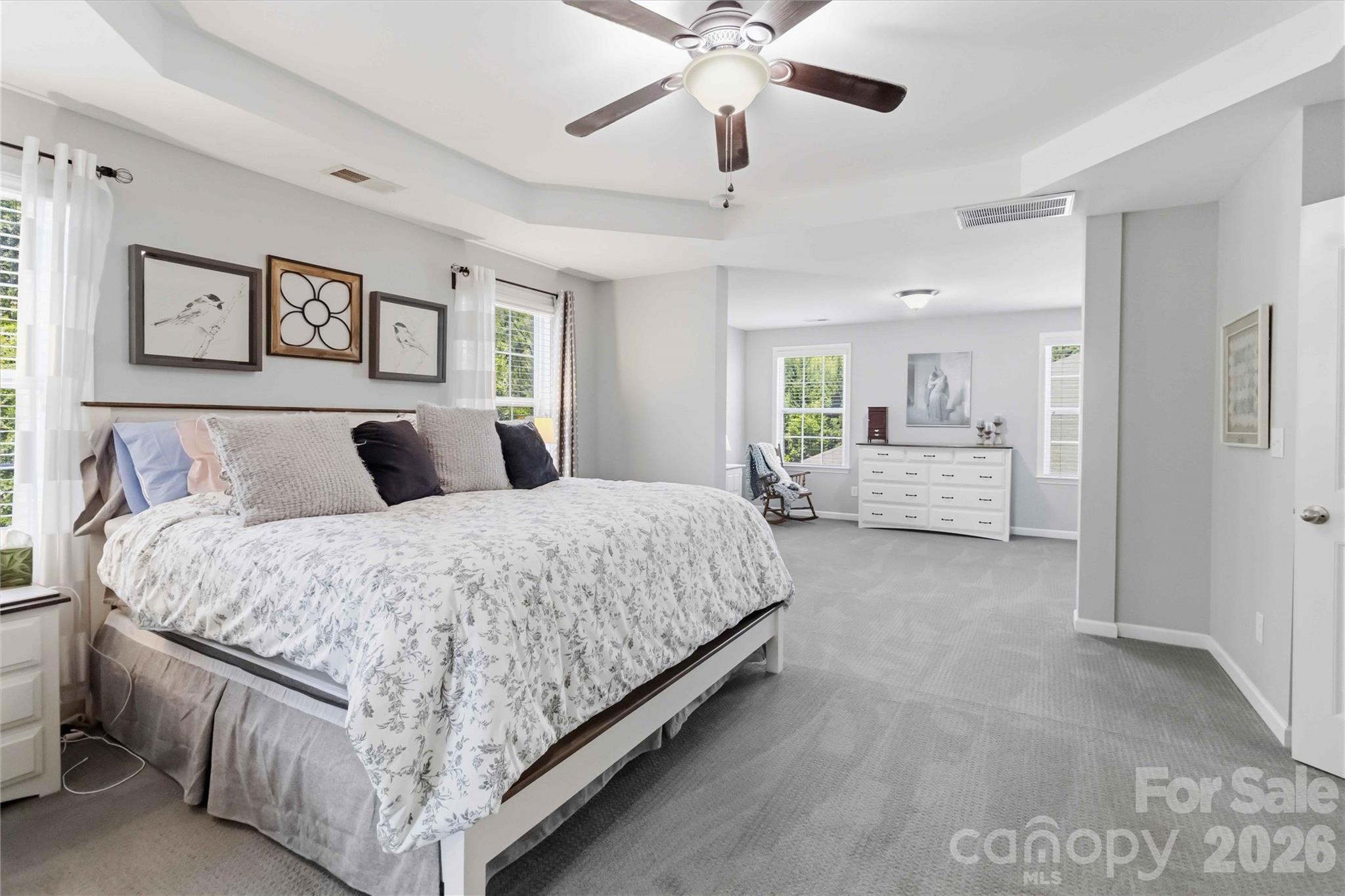 125 Annatto Way, Tega Cay, SC - photo 33 of 49
