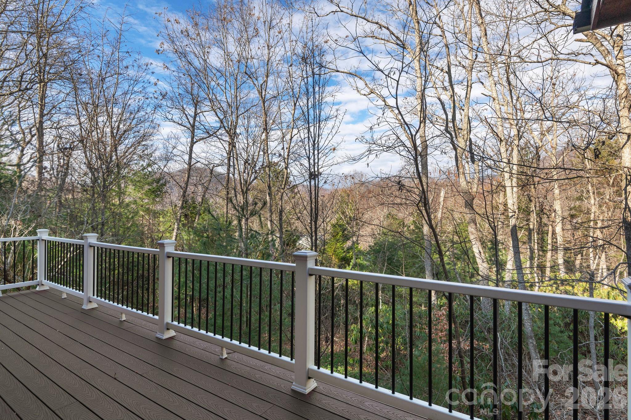 125 Buffalo Trail, Asheville, NC - photo 17 of 39
