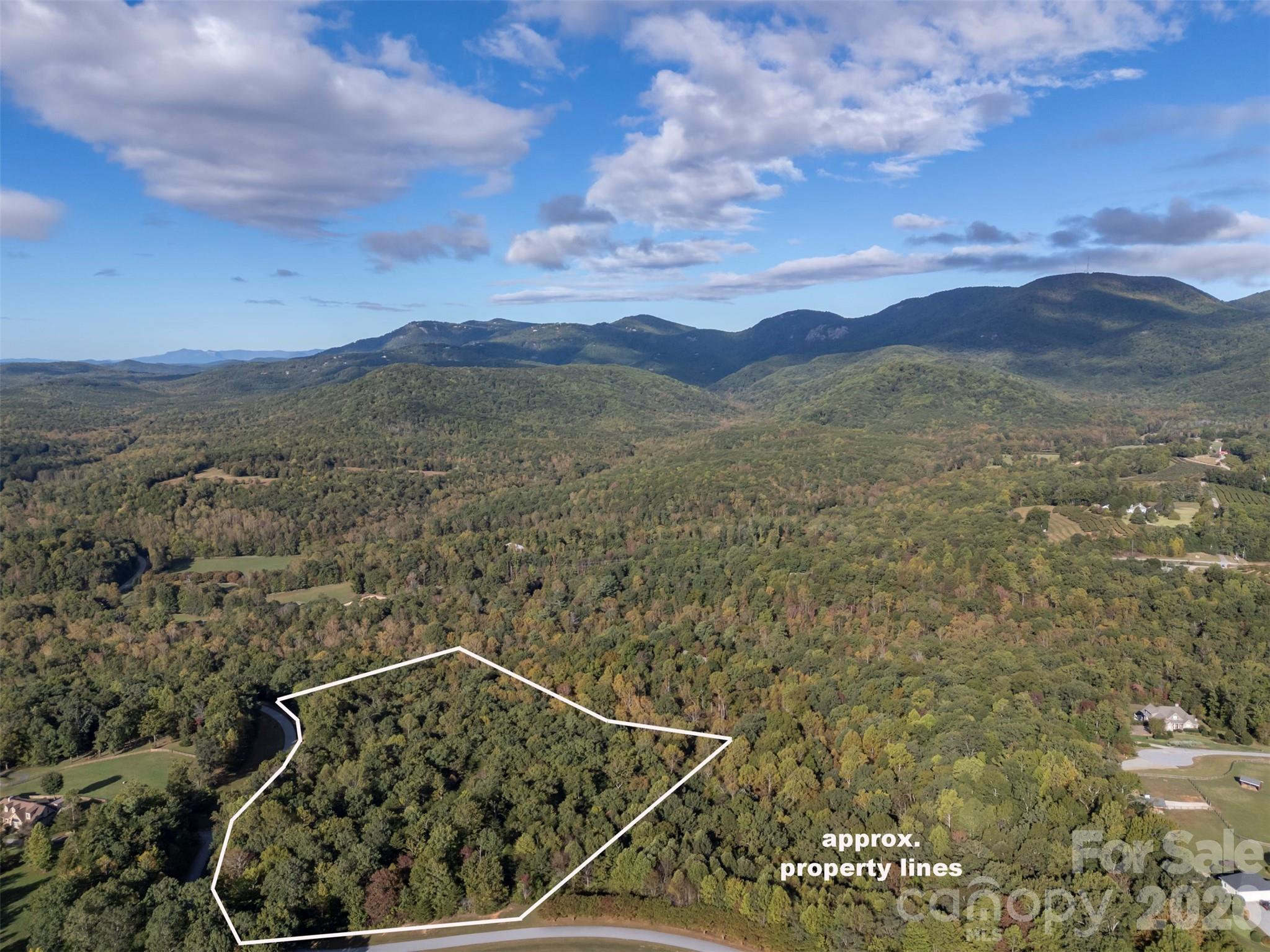 100 Pardo Road, Landrum, SC - photo 4 of 21