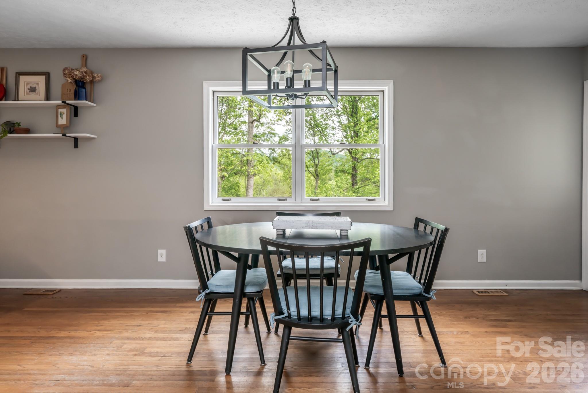 10 Terrapin Trail, Flat Rock, NC - photo 10 of 35