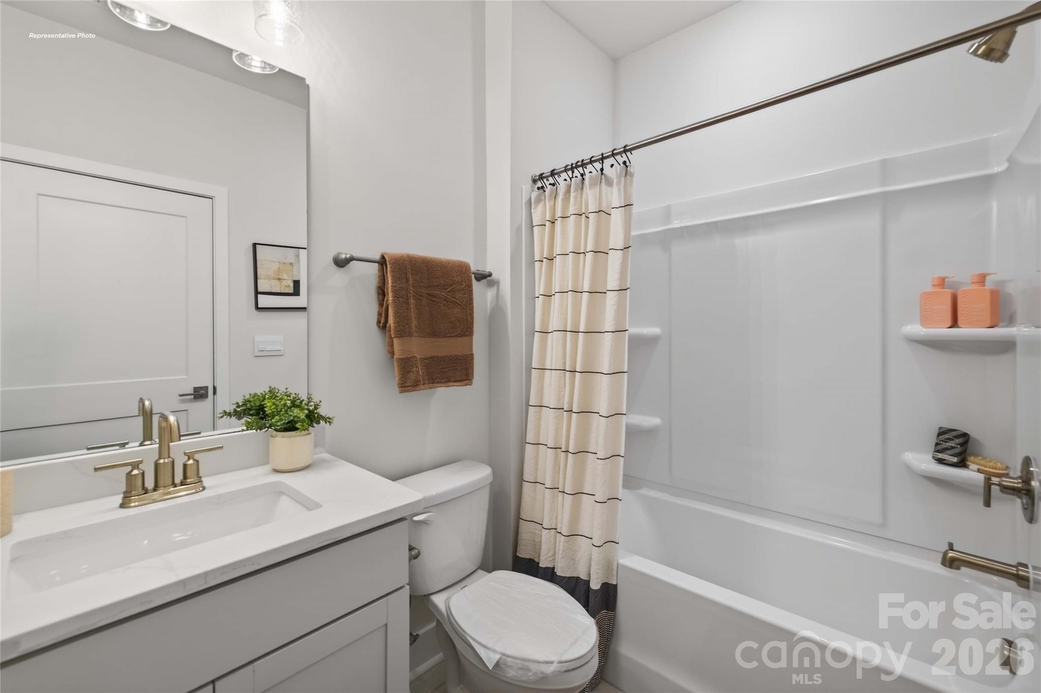 1048 Tundra Swan Drive, Indian Trail, NC - photo 14 of 39