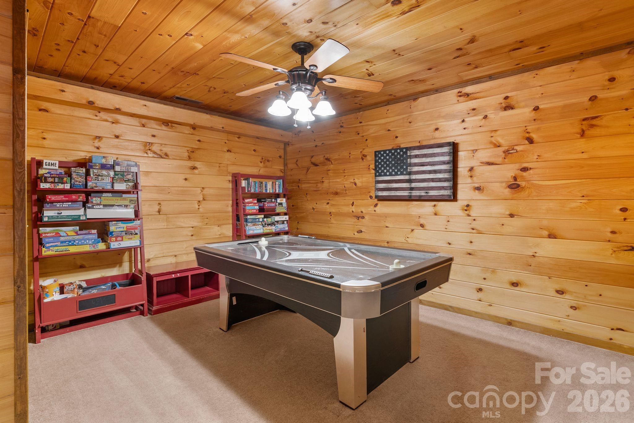 264 Moonbeam Lane, Clyde, NC - photo 27 of 47