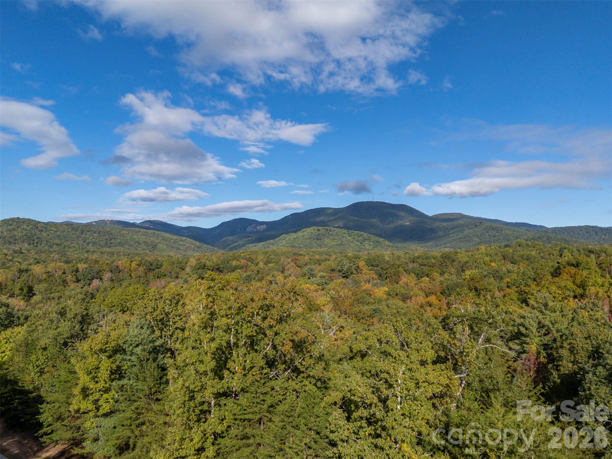 100 Pardo Road, Landrum, SC - photo 15 of 21