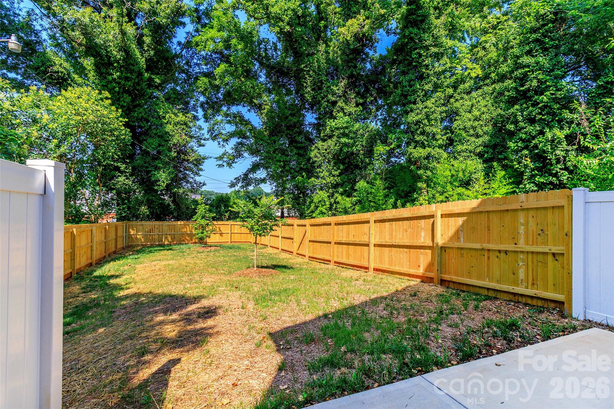 2517 Elon Street, Charlotte, NC - photo 25 of 27