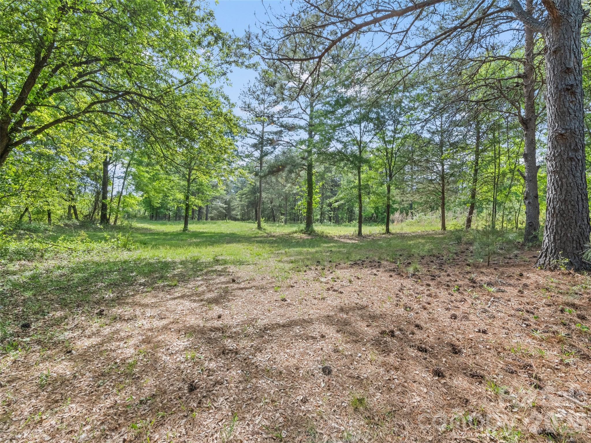 311 Soco Gap Road, Ellenboro, NC - photo 4 of 25