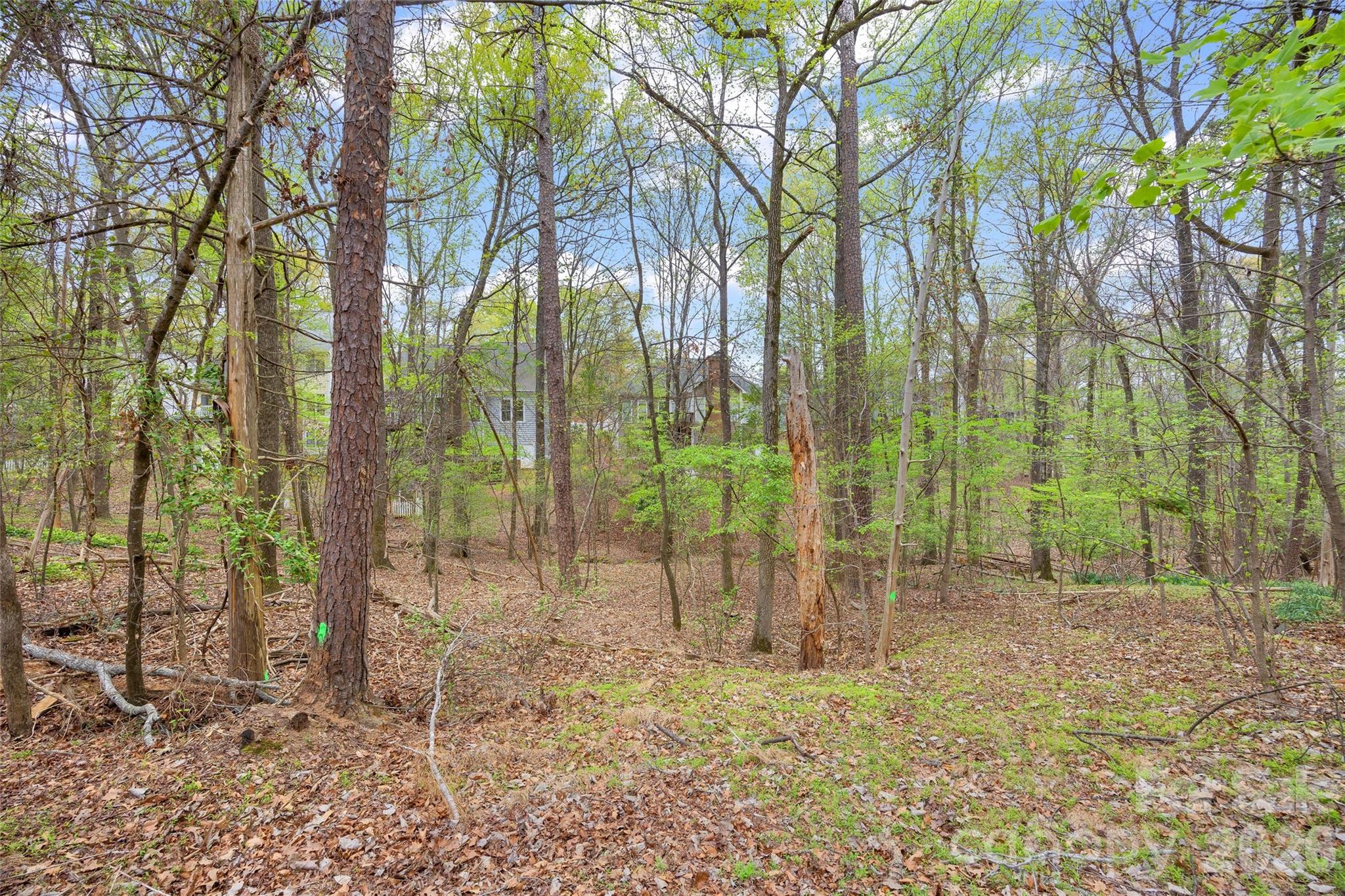 Photo 48 of 5904 Chalyce Lane, Charlotte, NC