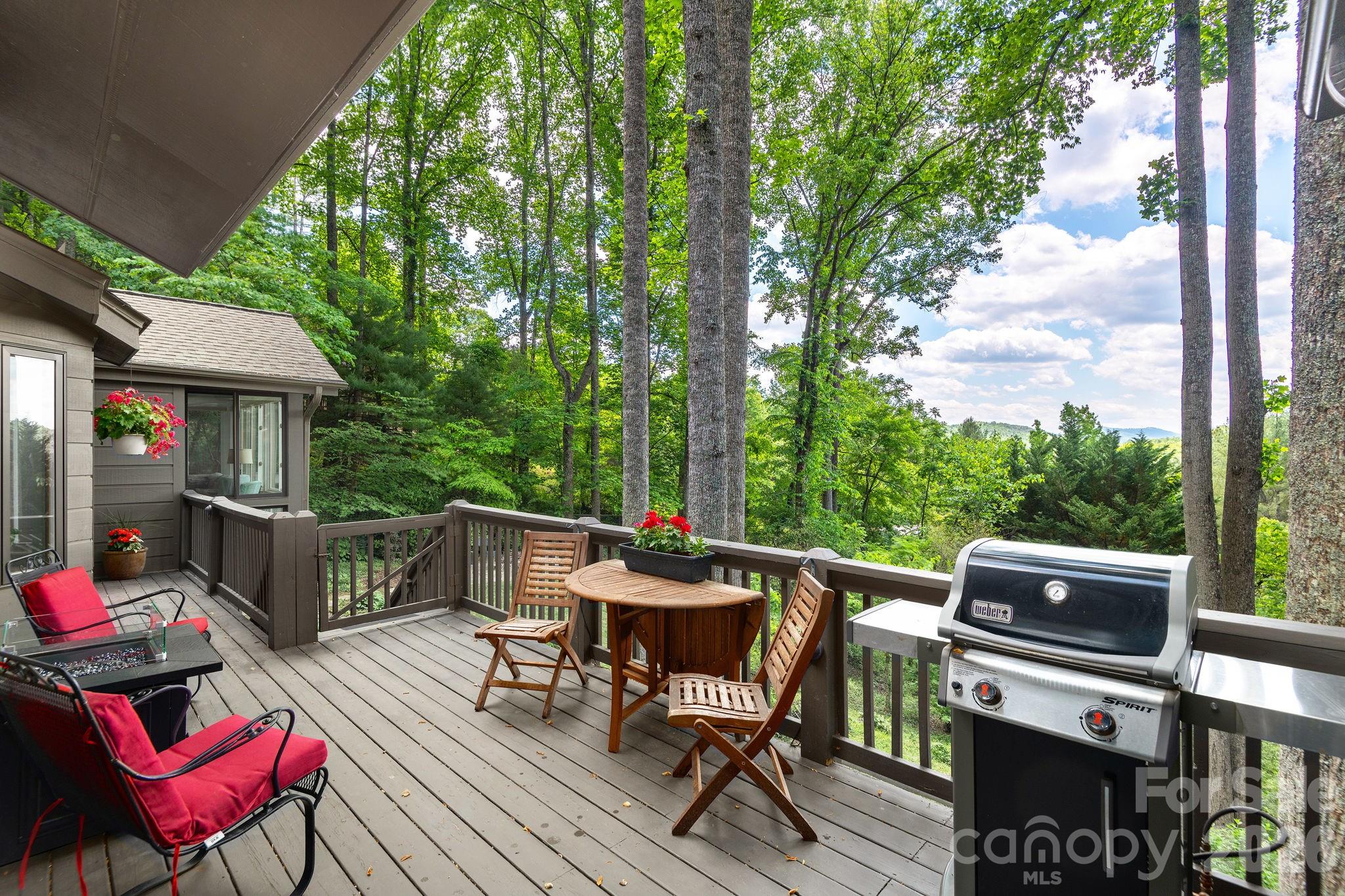 107 Buffalo Trail, Asheville, NC - photo 11 of 49