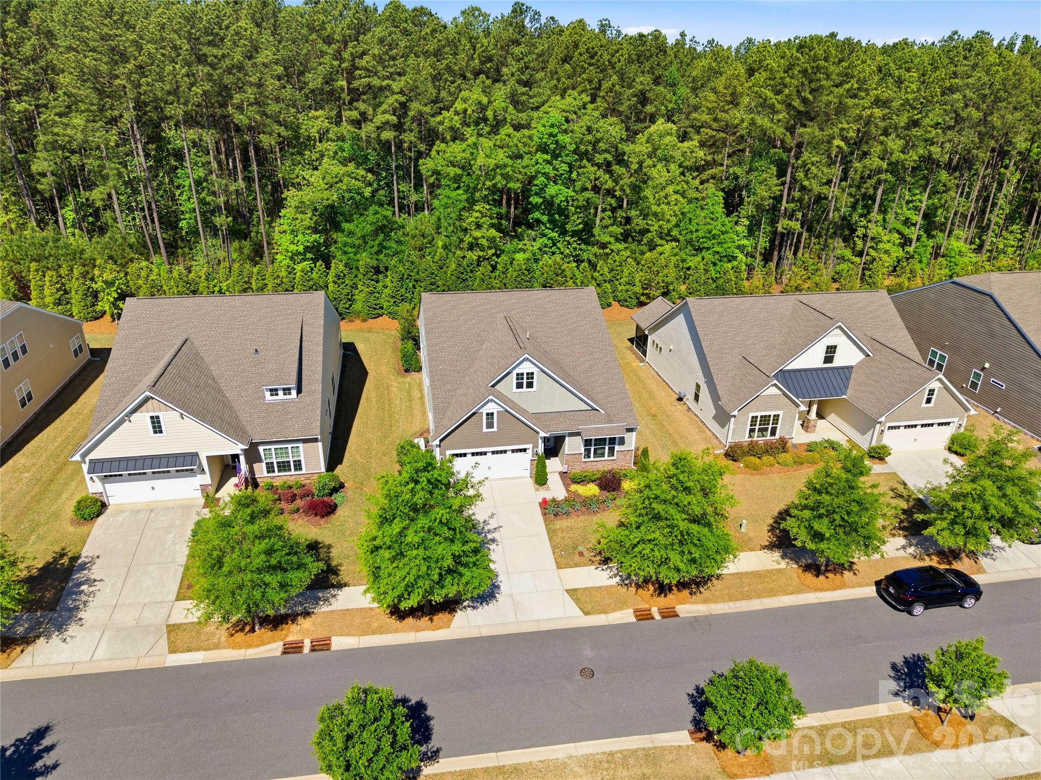 124 Van Gogh Trail, Mount Holly, NC - photo 47 of 49