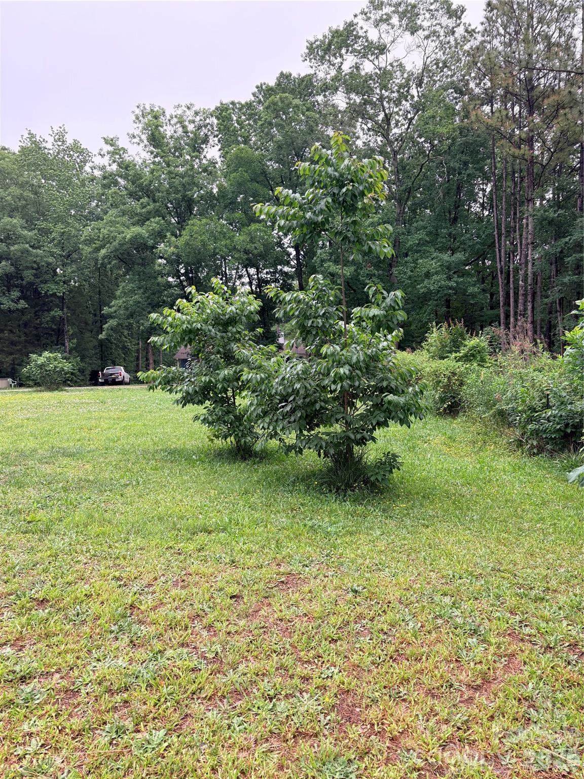 14851 Bethel Avenue Extension, Midland, NC - photo 32 of 49