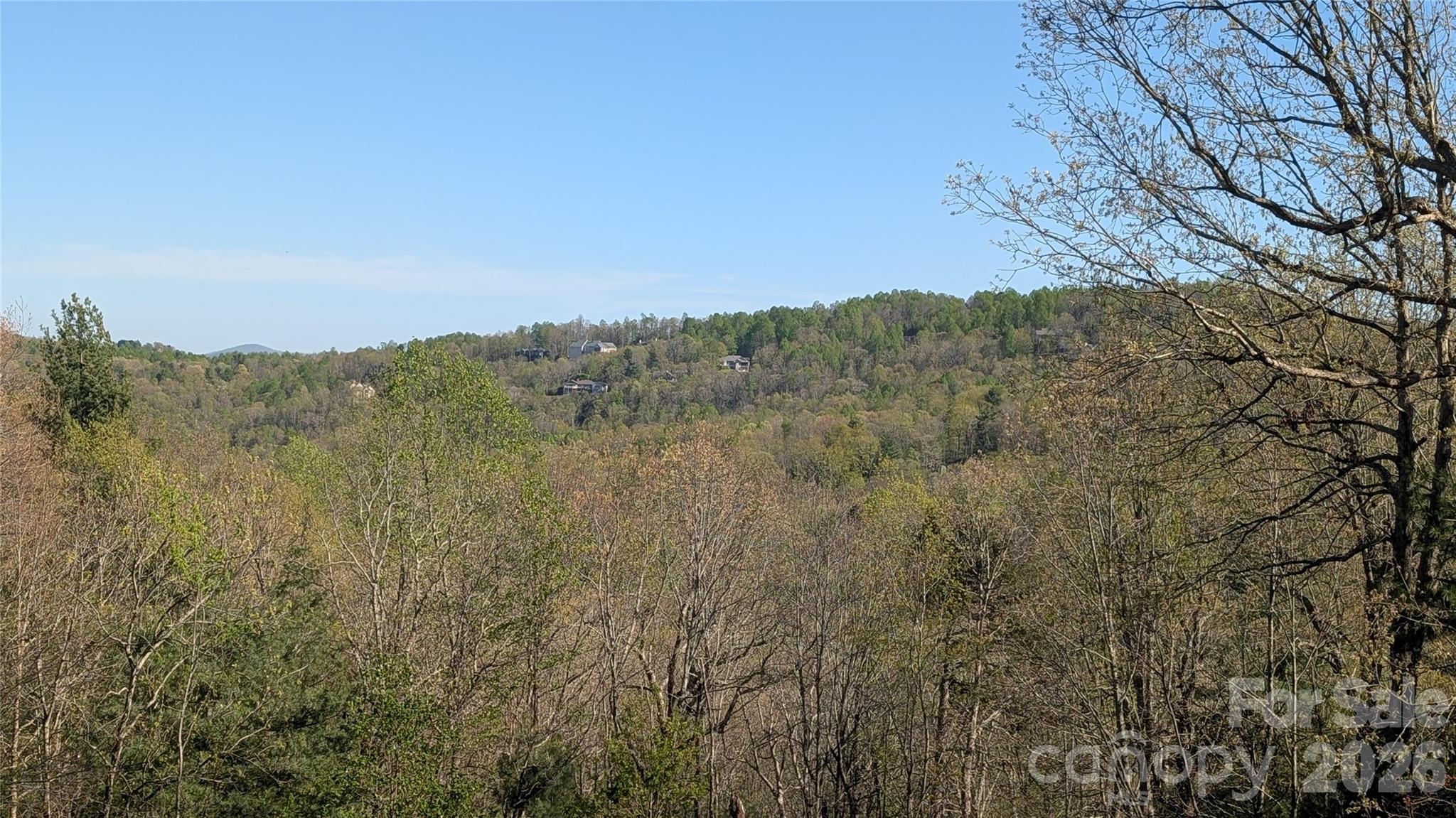 163 Old Poplar Lane, Flat Rock, NC - photo 6 of 49