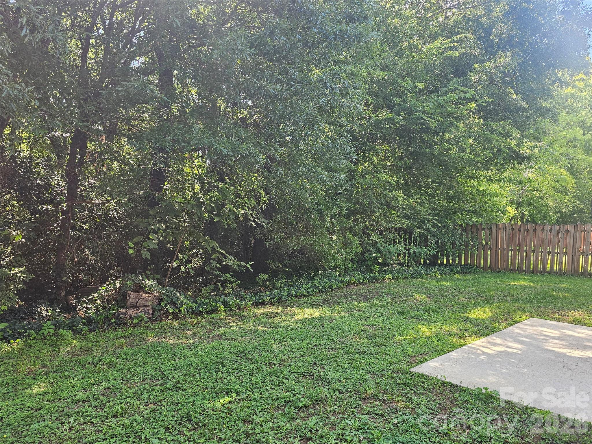 Photo 36 of 12519 Wandering Brook Drive, Charlotte, NC
