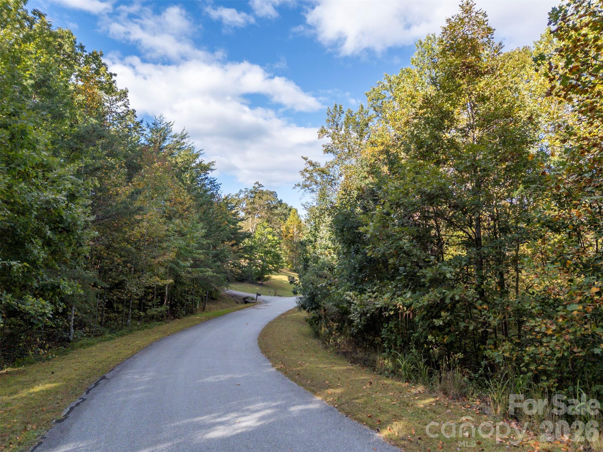 100 Pardo Road, Landrum, SC - photo 9 of 21