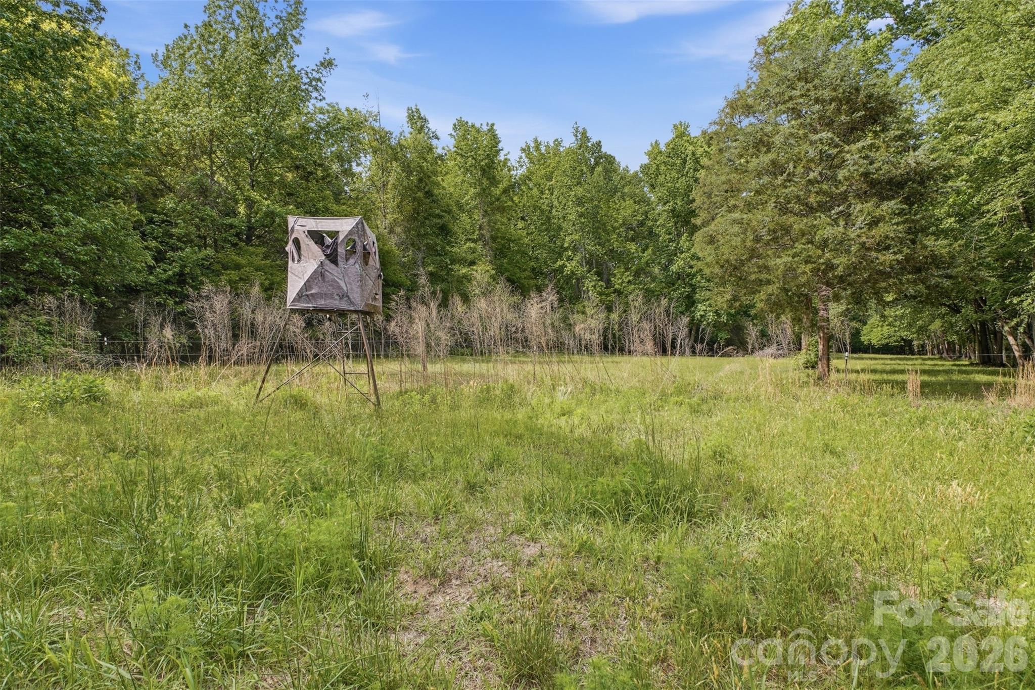 1739 Westbrook Road, Edgemoor, SC - photo 3 of 49