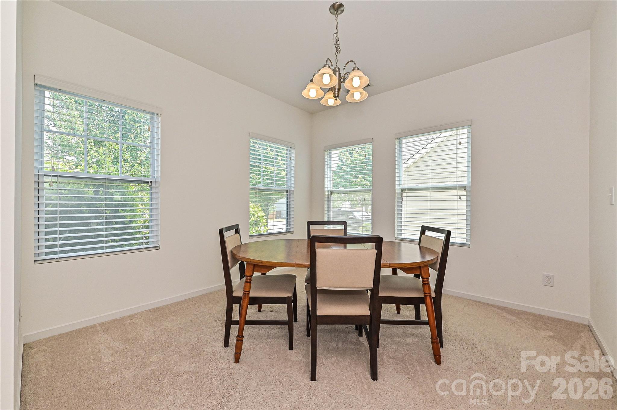 2061 Argentum Avenue98, Fort Mill, SC - photo 6 of 32