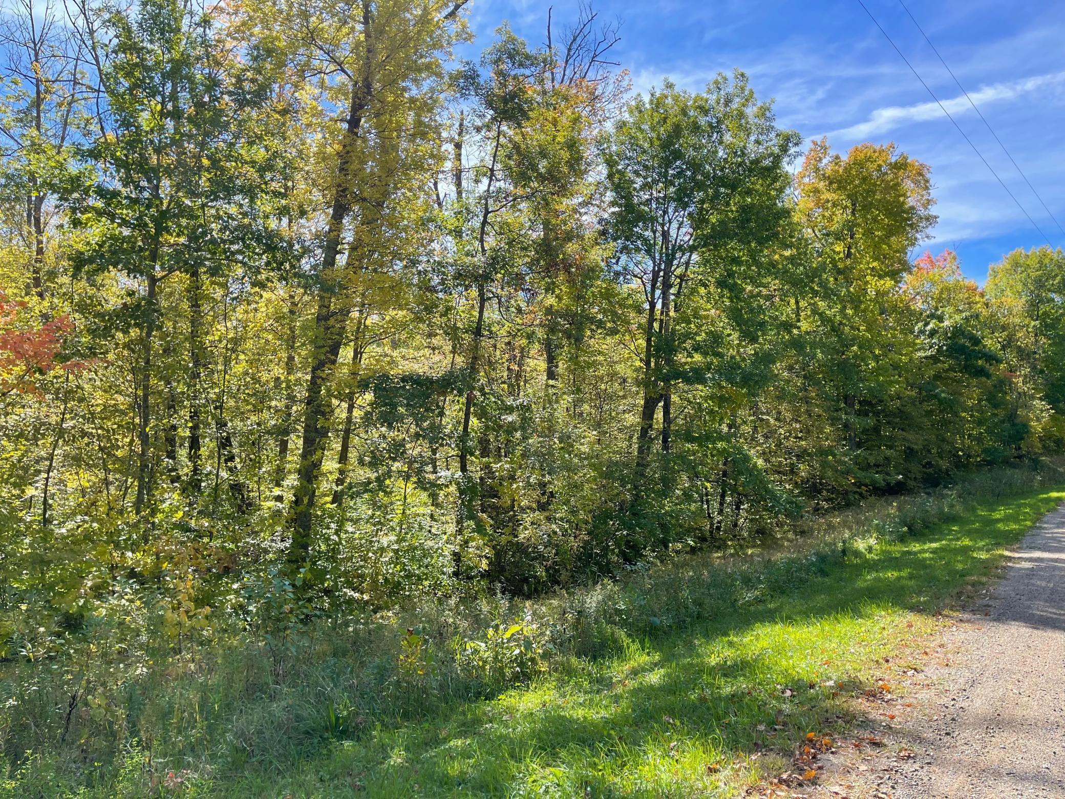 5 Lots Beaver Drive - Sandelands Realty