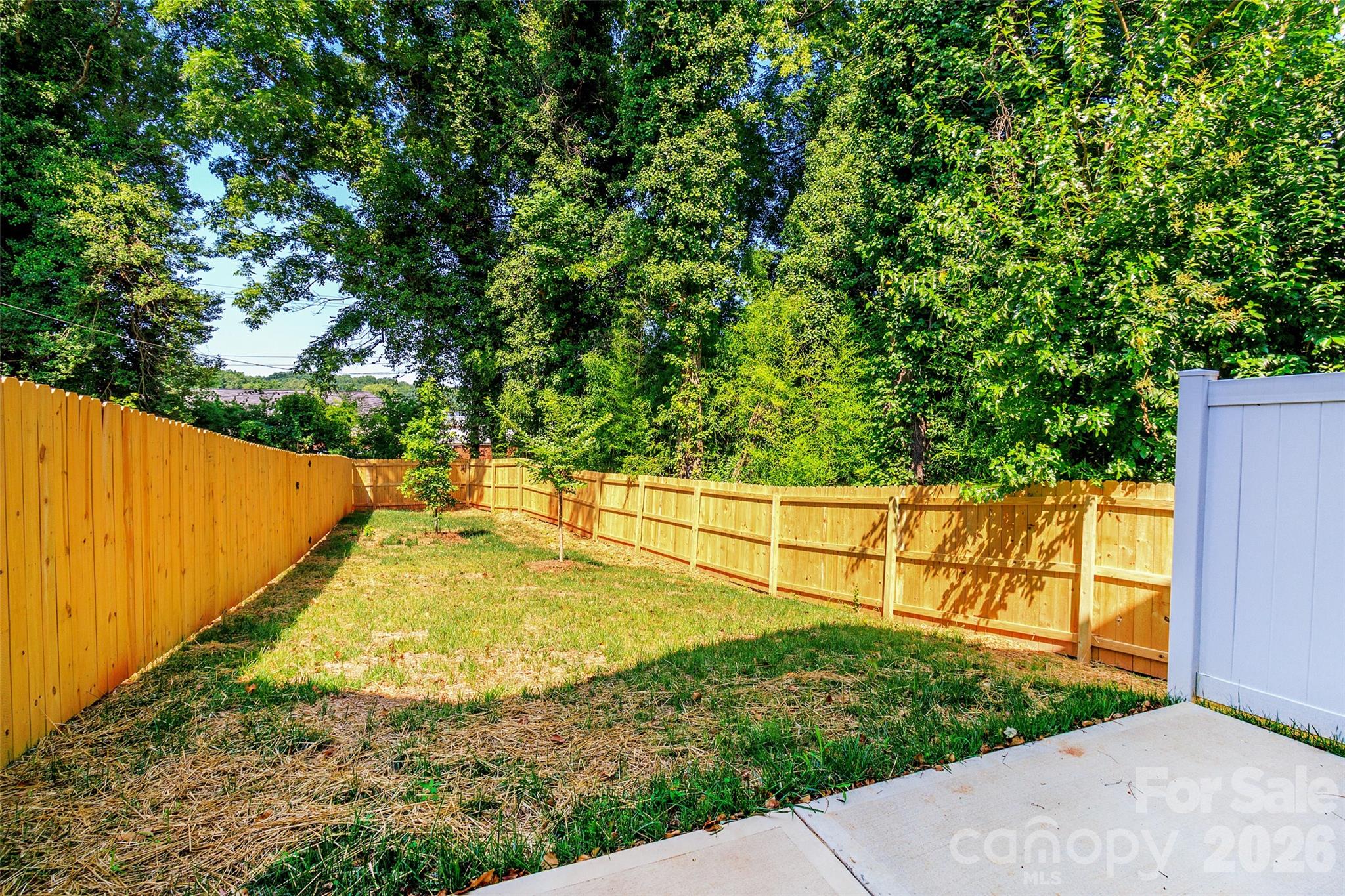 2521 Elon Street, Charlotte, NC - photo 30 of 32