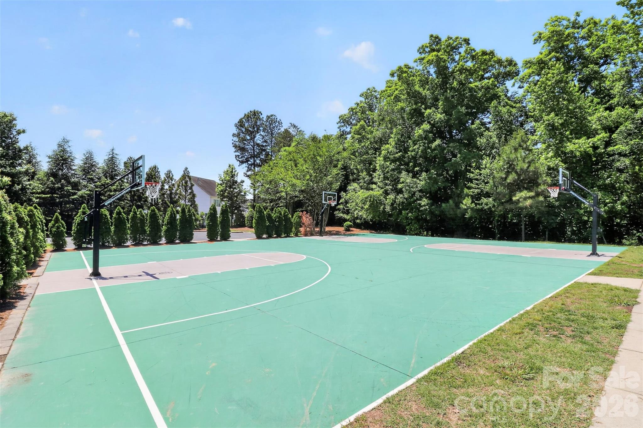 719 Fresia Drive, Tega Cay, SC - photo 47 of 49