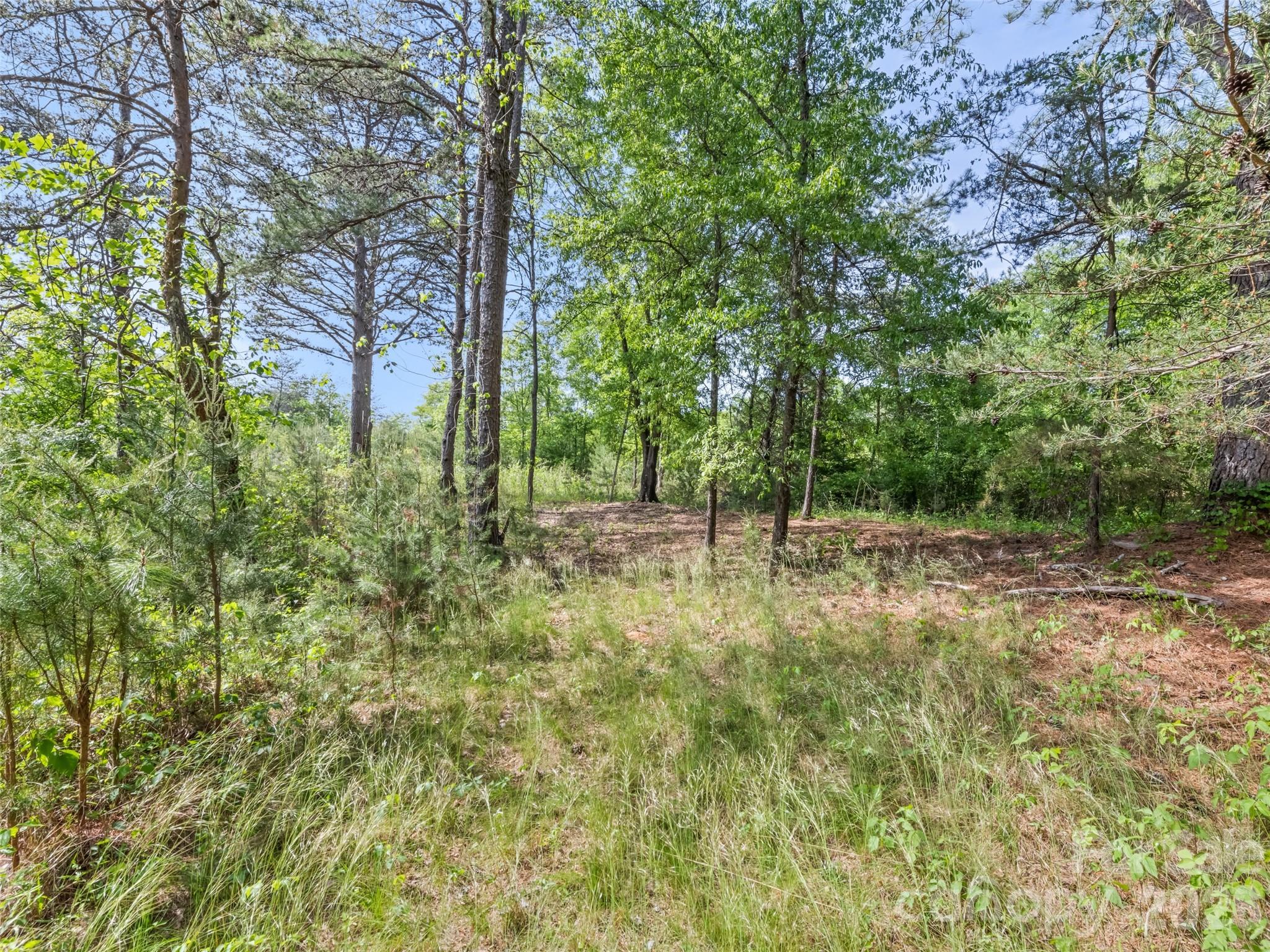 311 Soco Gap Road, Ellenboro, NC - photo 10 of 25