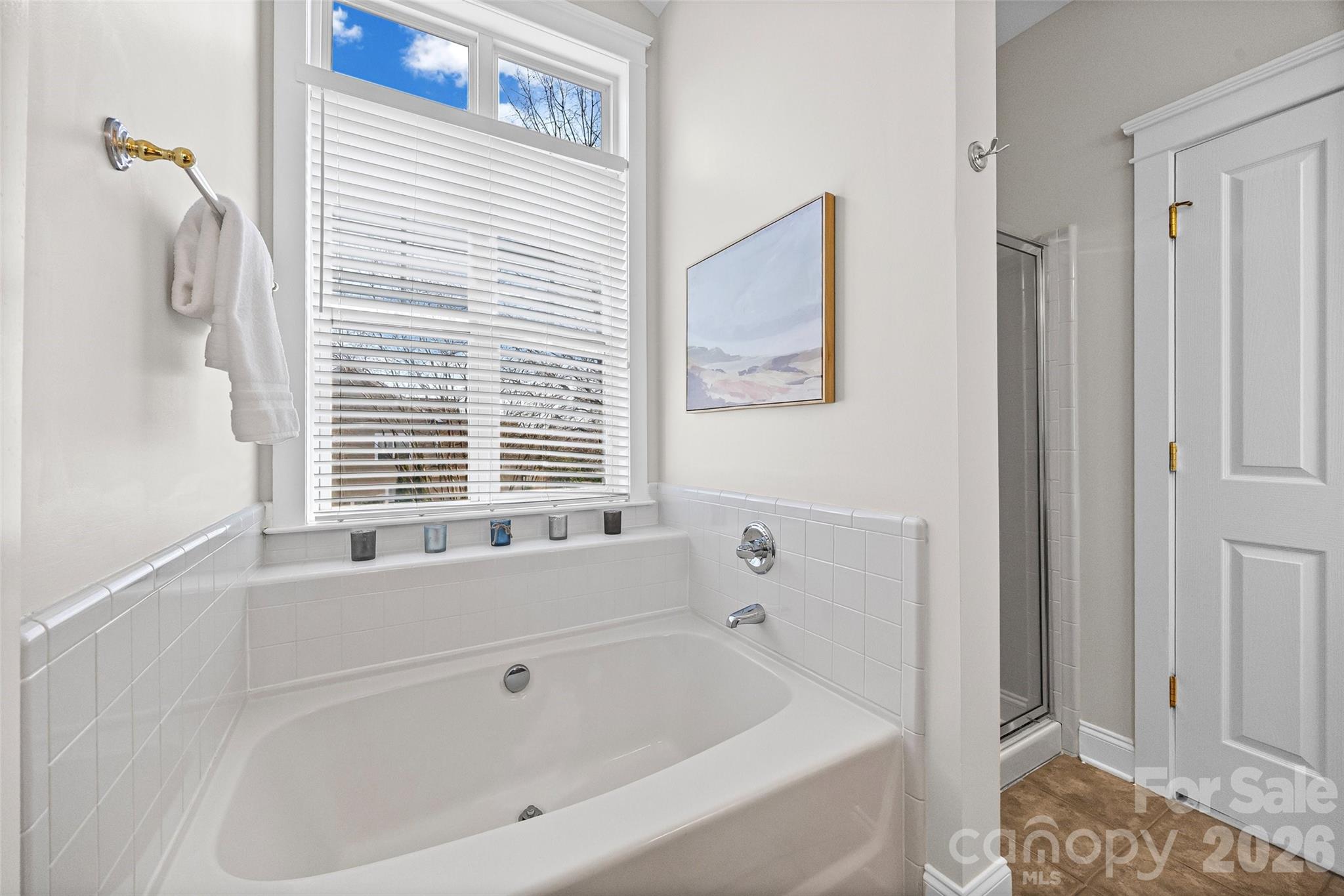 1039 Hunters Run Drive, Tega Cay, SC - photo 14 of 38