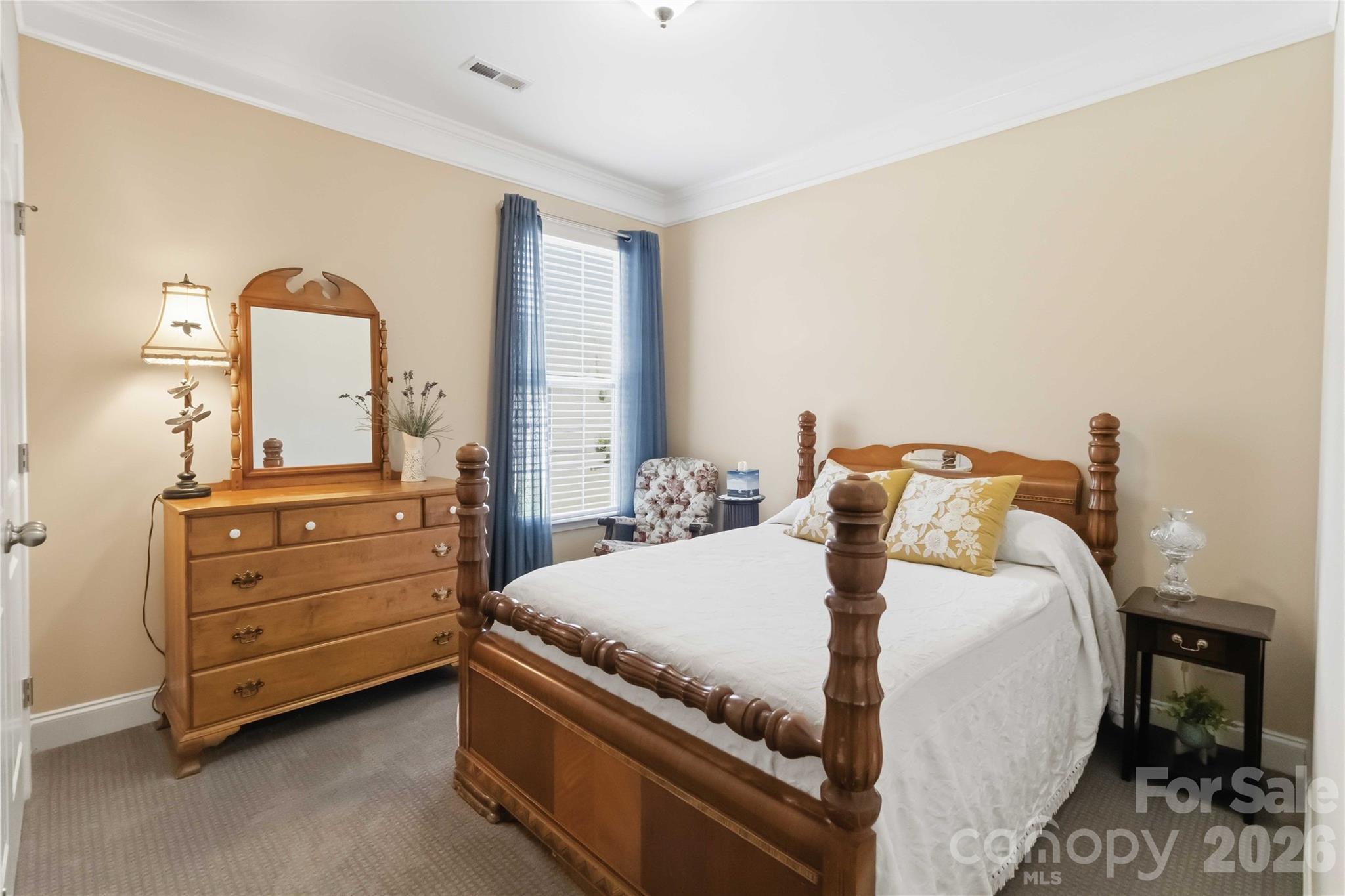 125 Annatto Way, Tega Cay, SC - photo 26 of 49