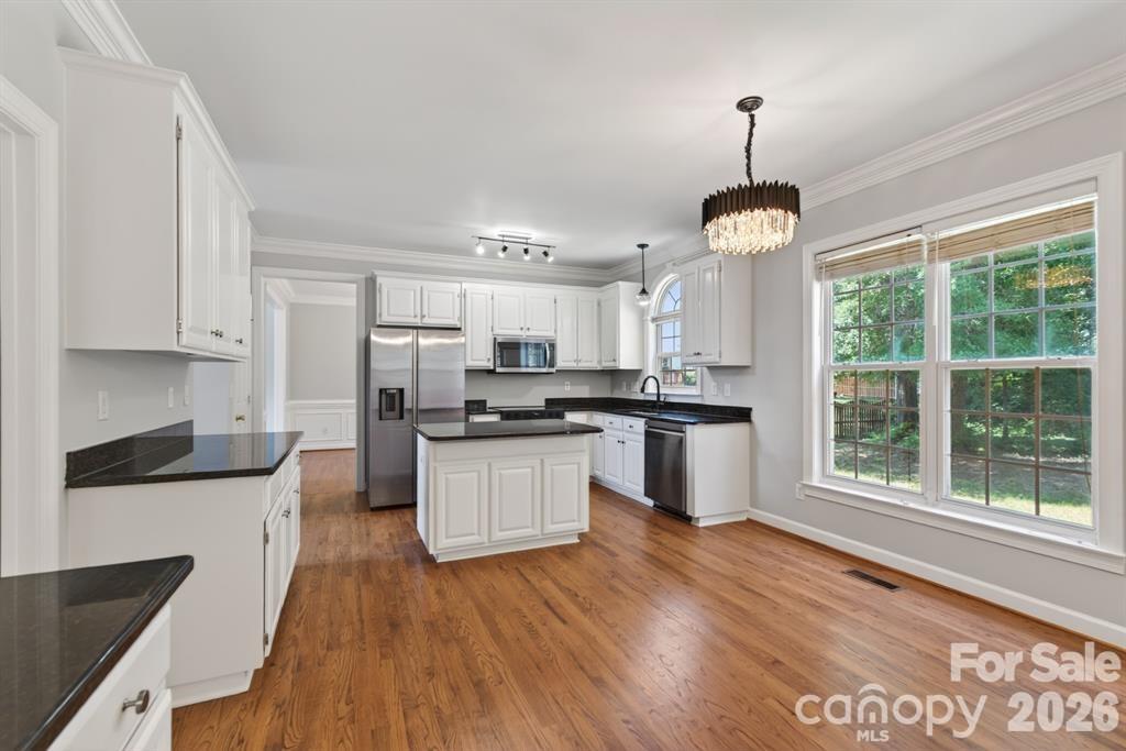Photo 21 of 11005 Chilcomb Court, Charlotte, NC