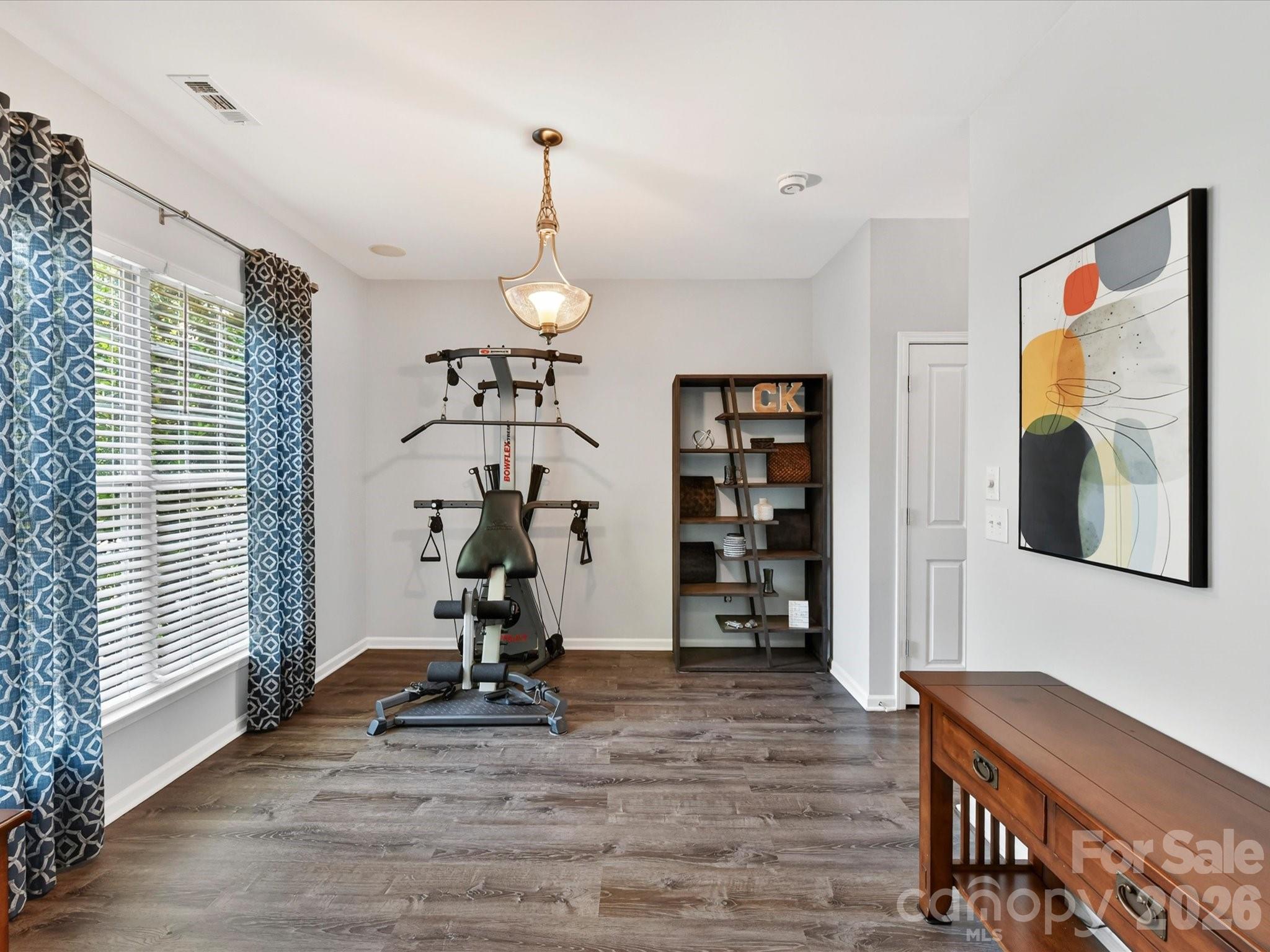 15224 Waterfront Drive, Huntersville, NC - photo 7 of 30