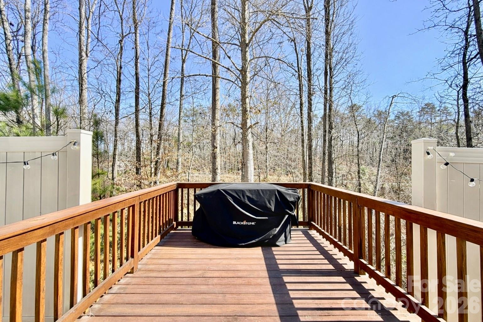1264 Whitehall Hill Road, York, SC - photo 16 of 39