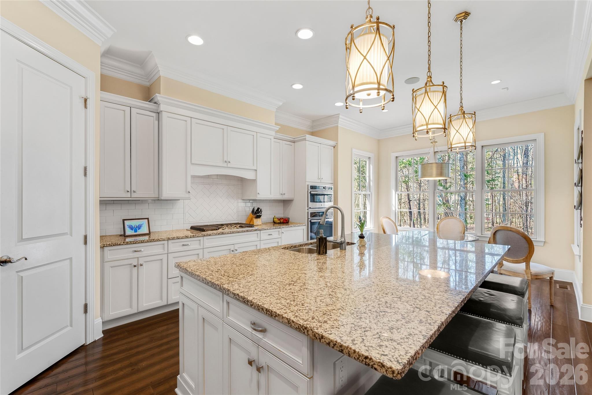 4113 Piaffe Avenue, Mint Hill, NC - photo 11 of 47