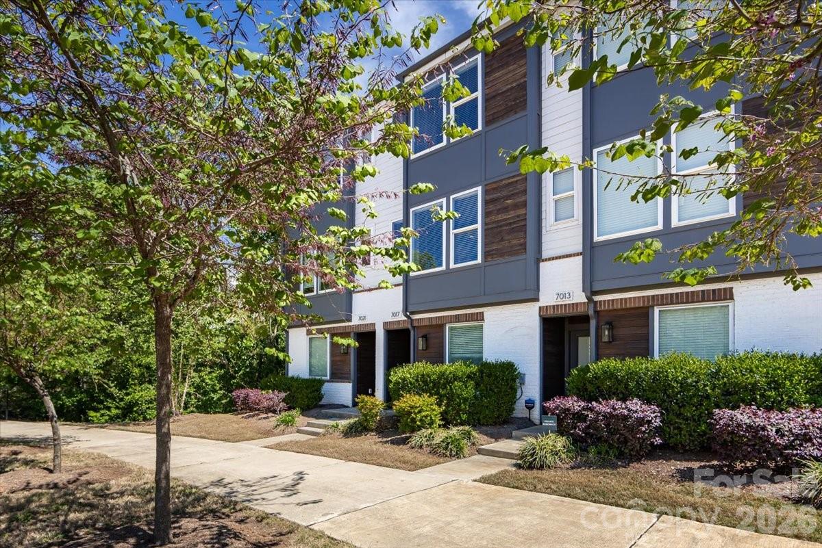Photo 3 of 7017 Loso Commons Way, Charlotte, NC