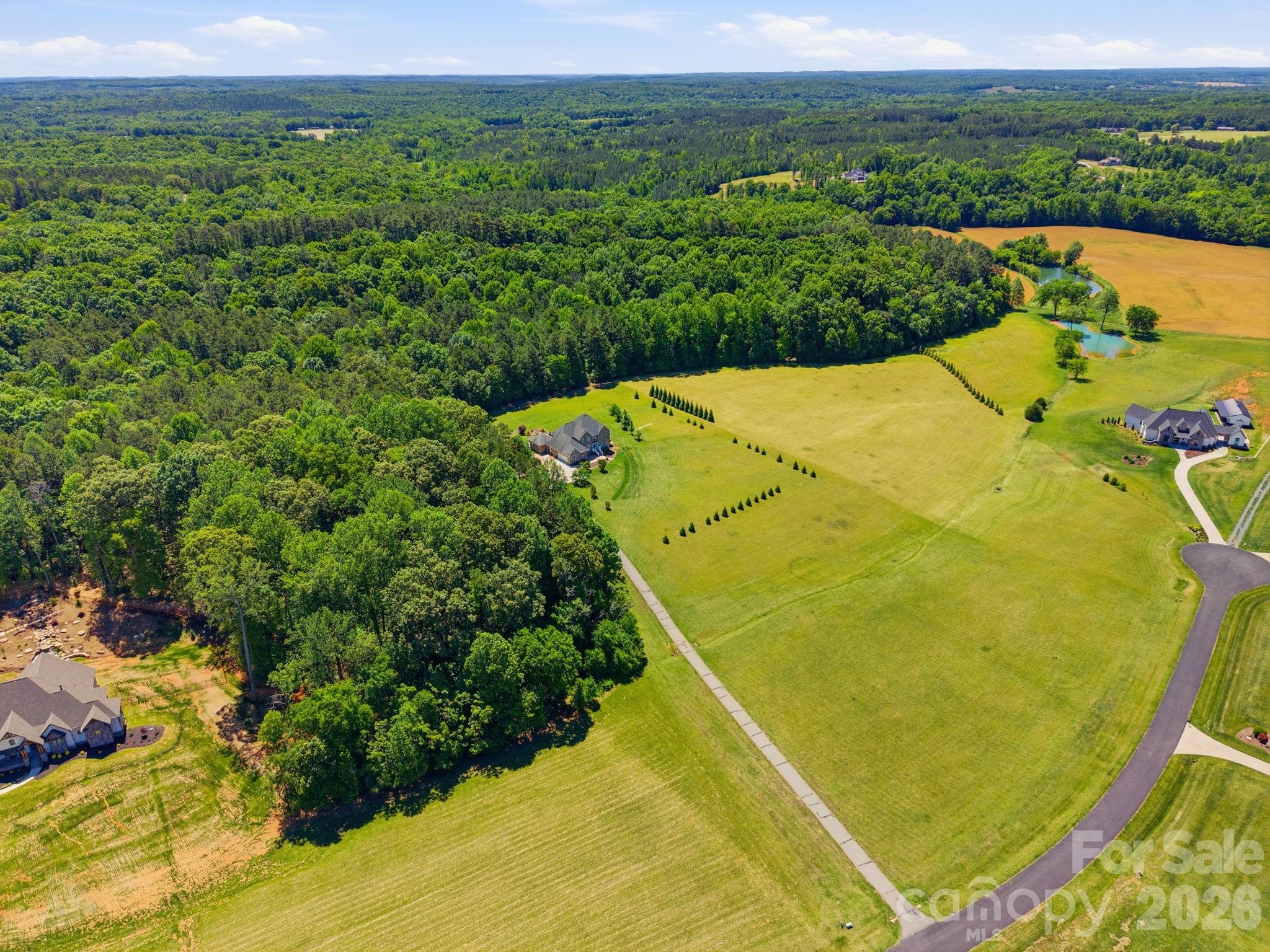 1434 Steeplechase Drive, Mount Pleasant, NC - photo 46 of 49