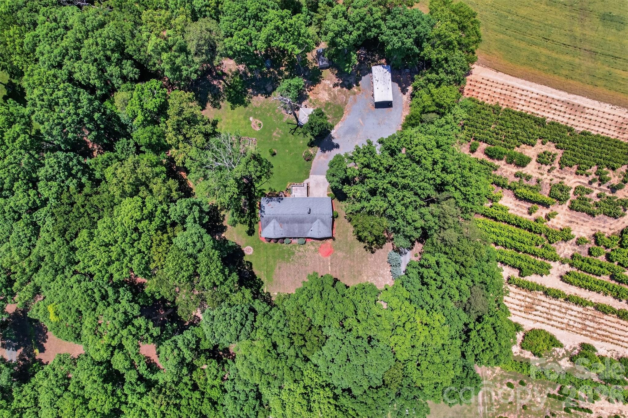 9807 Black Road, Midland, NC - photo 39 of 43