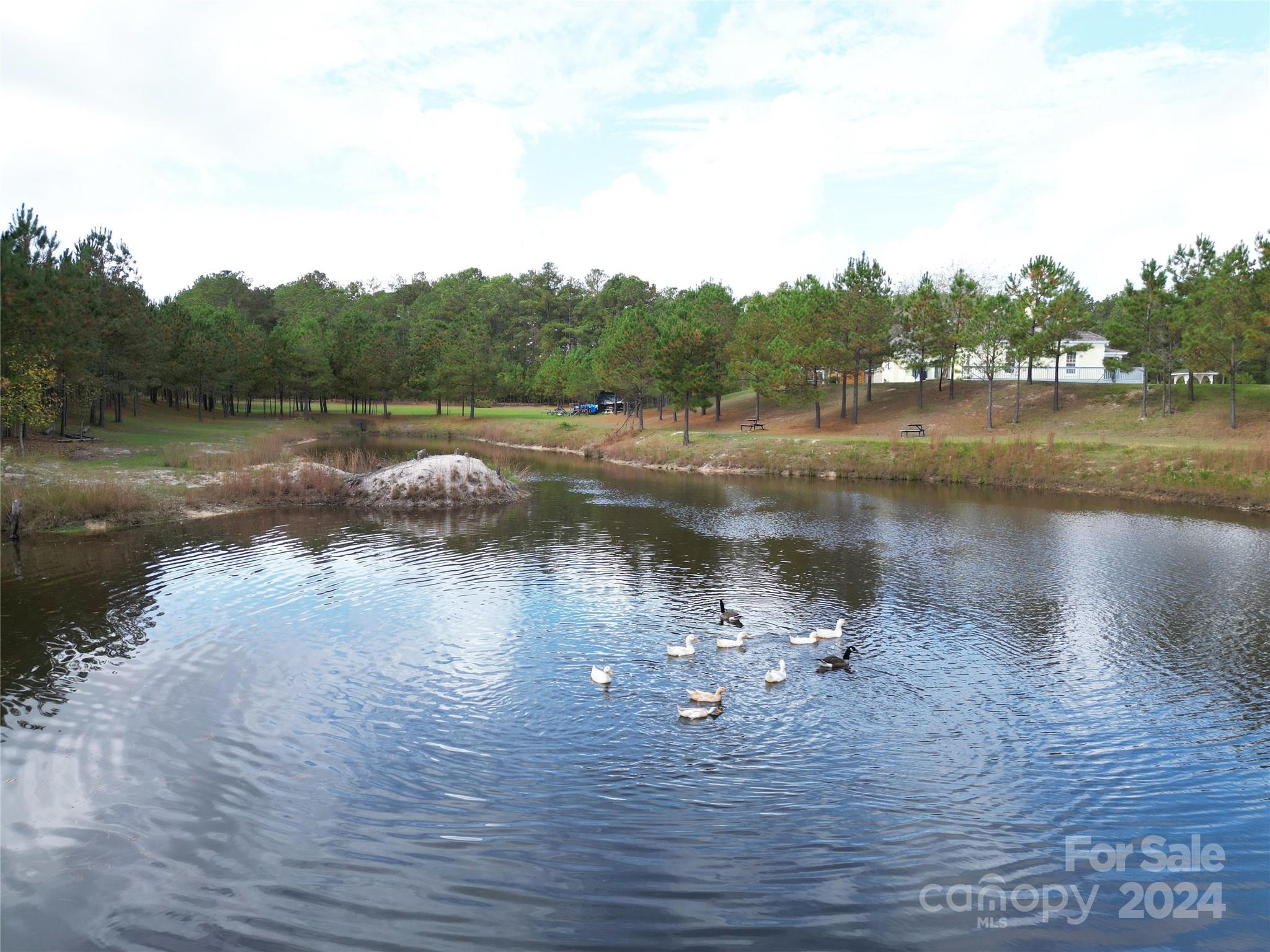 2034 Haileys Ferry Road, Lilesville, NC - photo 16 of 49