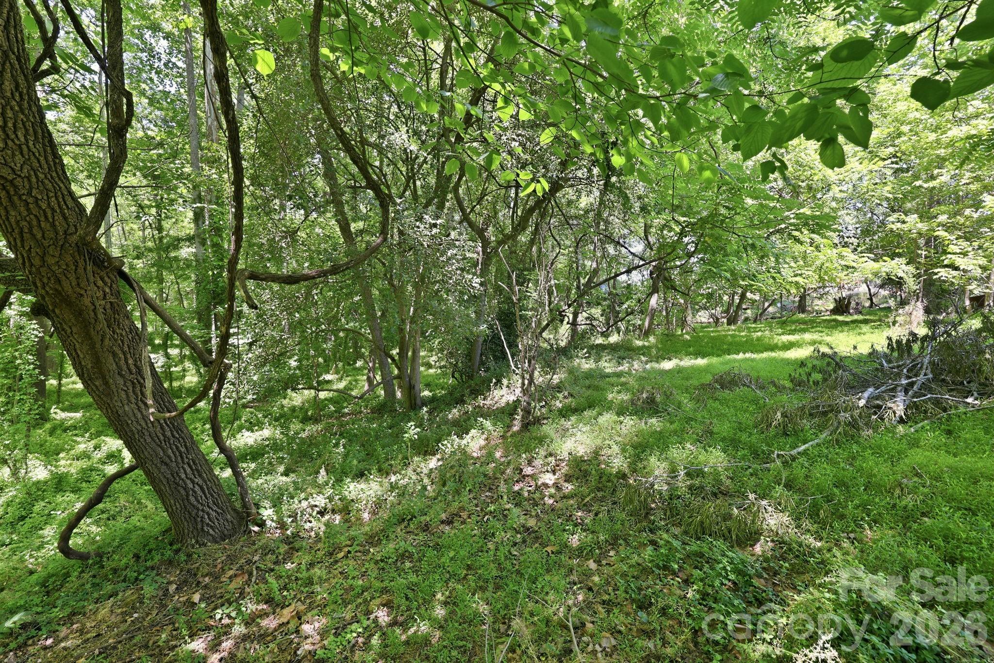 1705 US 52 Highway N, Albemarle, NC - photo 10 of 45