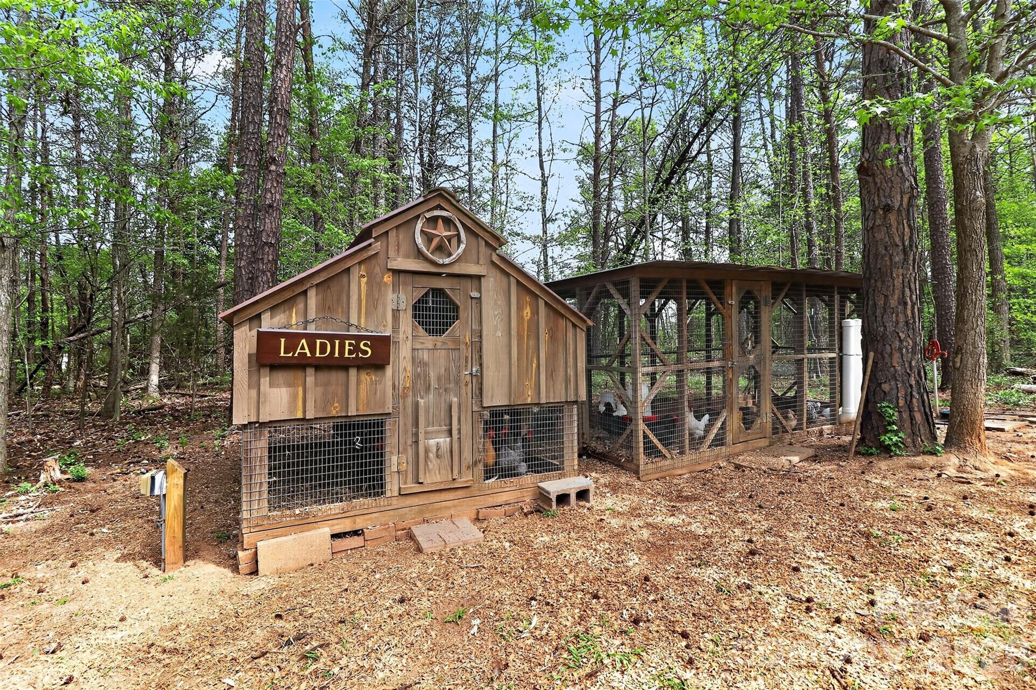 155 Amity Church Road, Iron Station, NC - photo 34 of 44