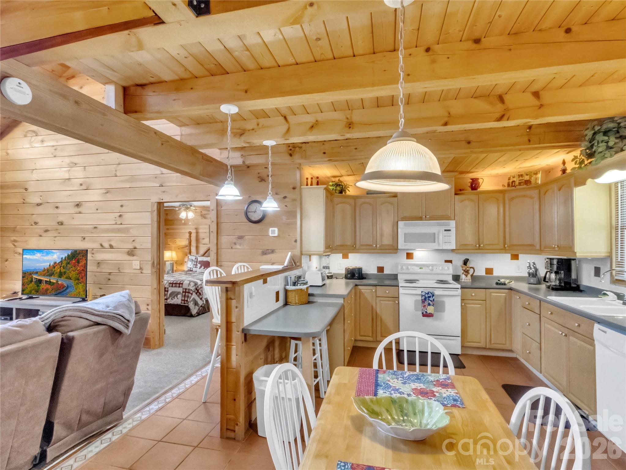 30 Edgewater Lane, Maggie Valley, NC - photo 10 of 40