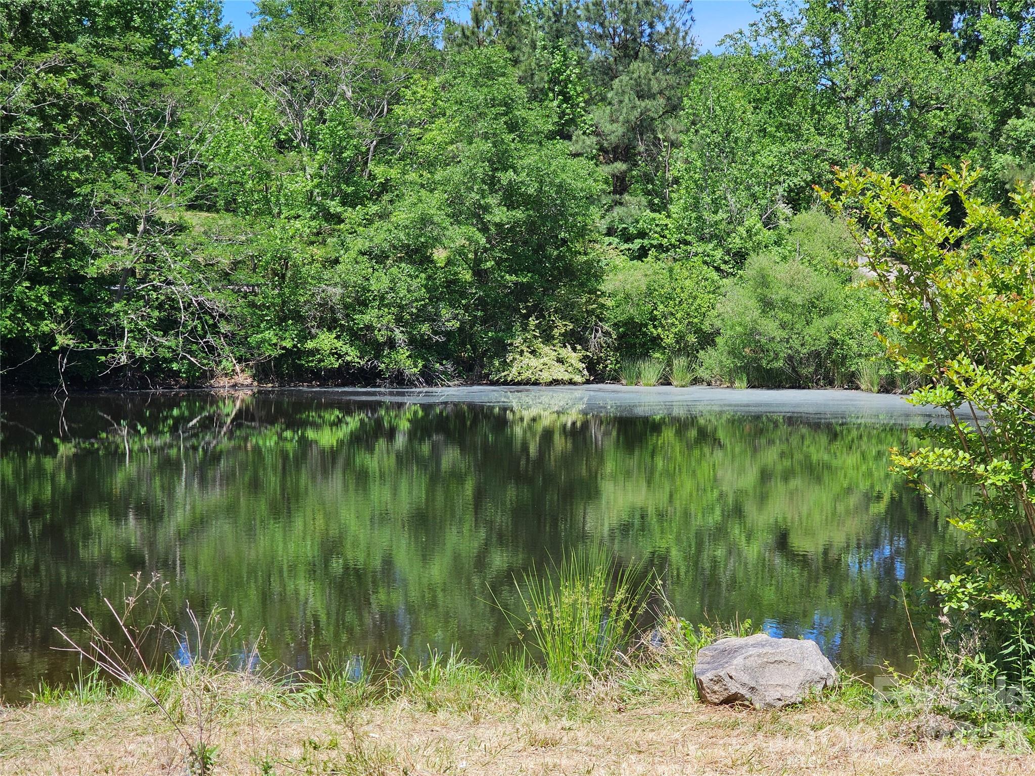 5692 Brooklyn Road, Great Falls, SC - photo 4 of 49