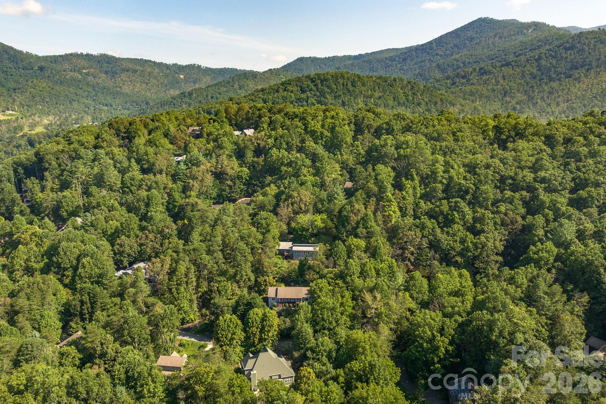 212 Blue Ridge Vista, Asheville, NC - photo 40 of 44
