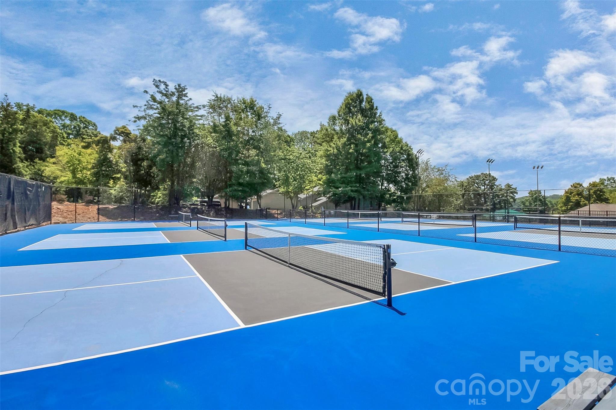 16 Woodvine Lane, Clover, SC - photo 47 of 49