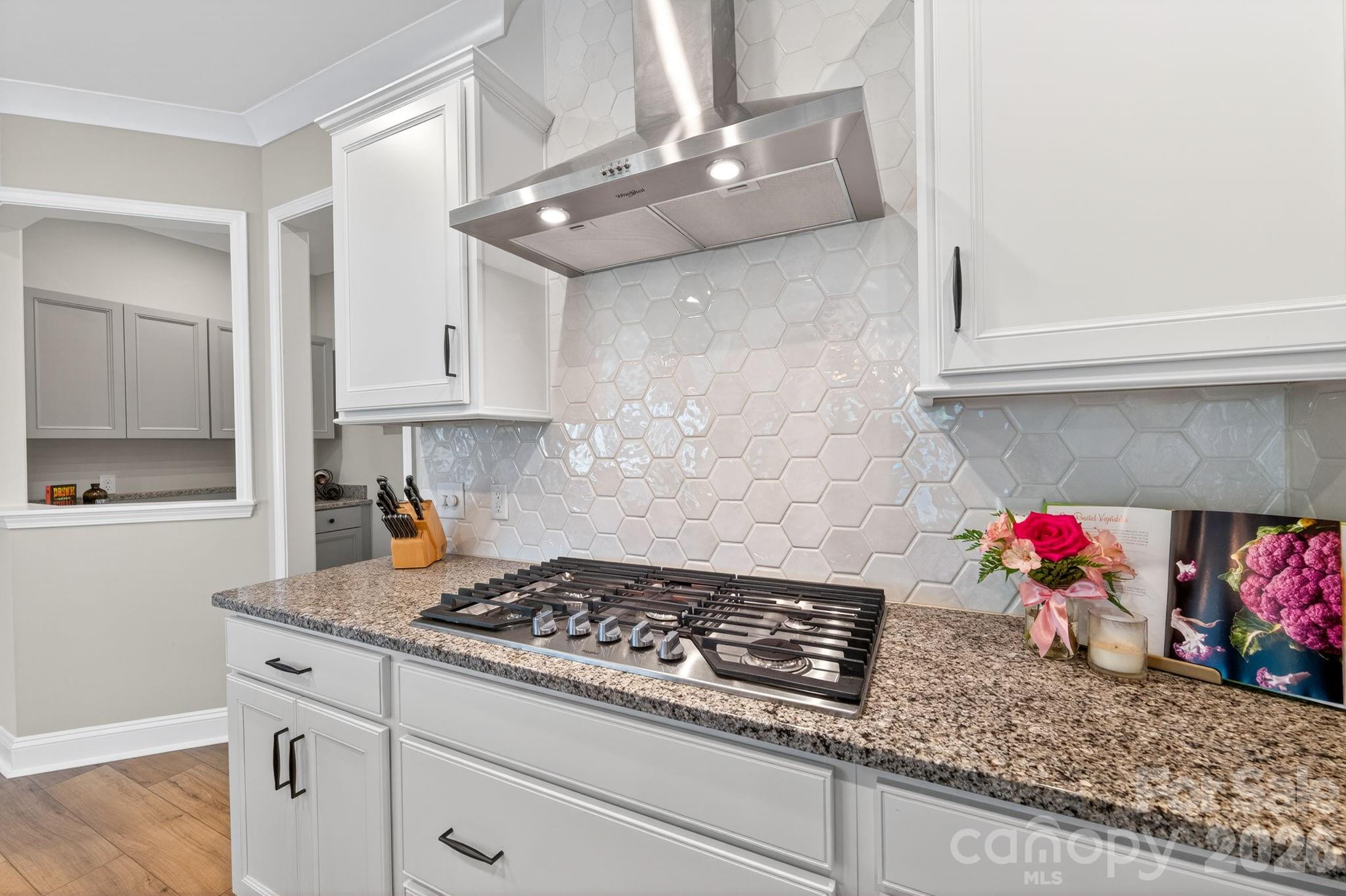 1163 Regions Boulevard, Indian Land, SC - photo 14 of 49