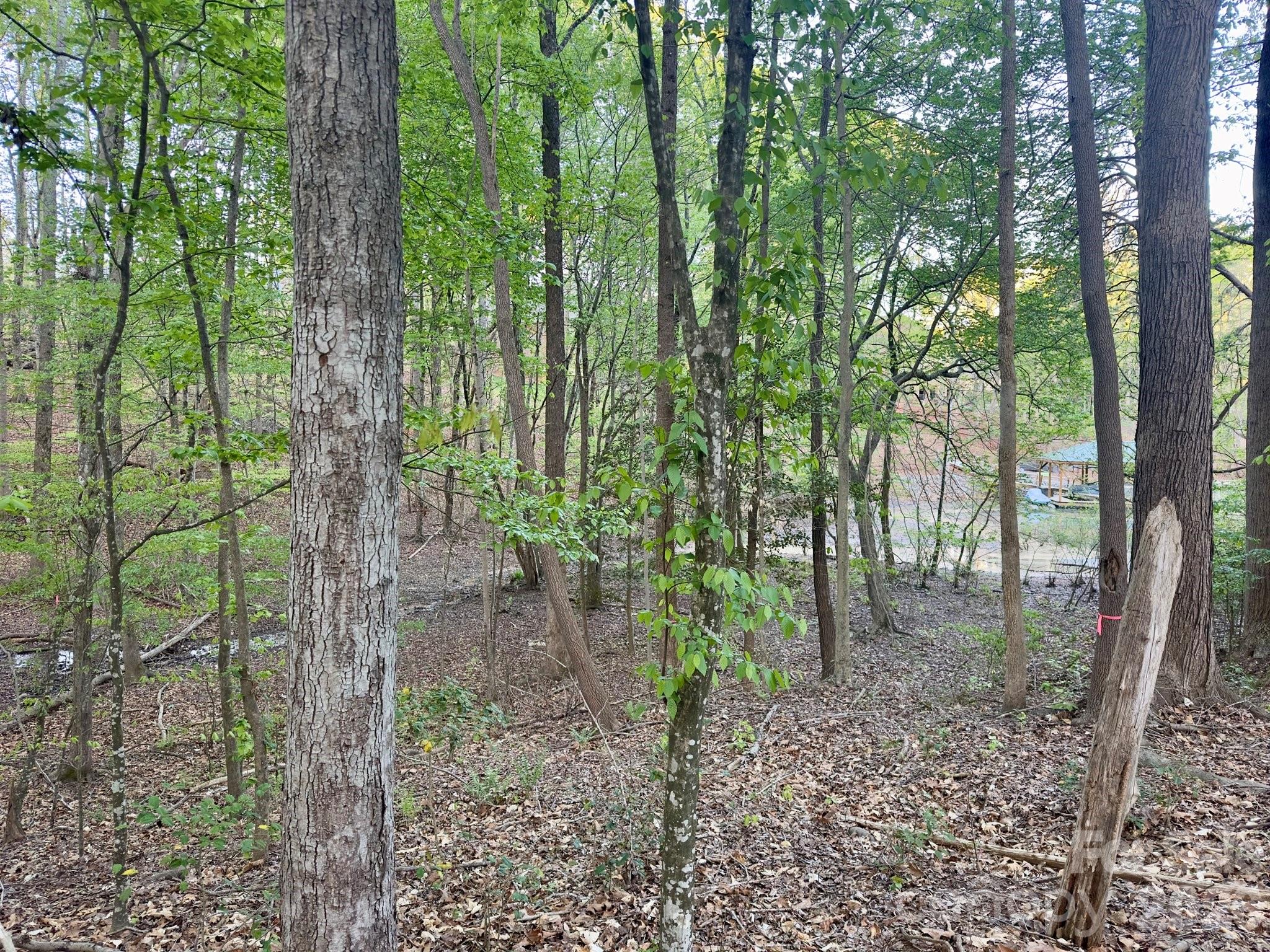 7656 Juniper Lane, Denver, NC - photo 34 of 37